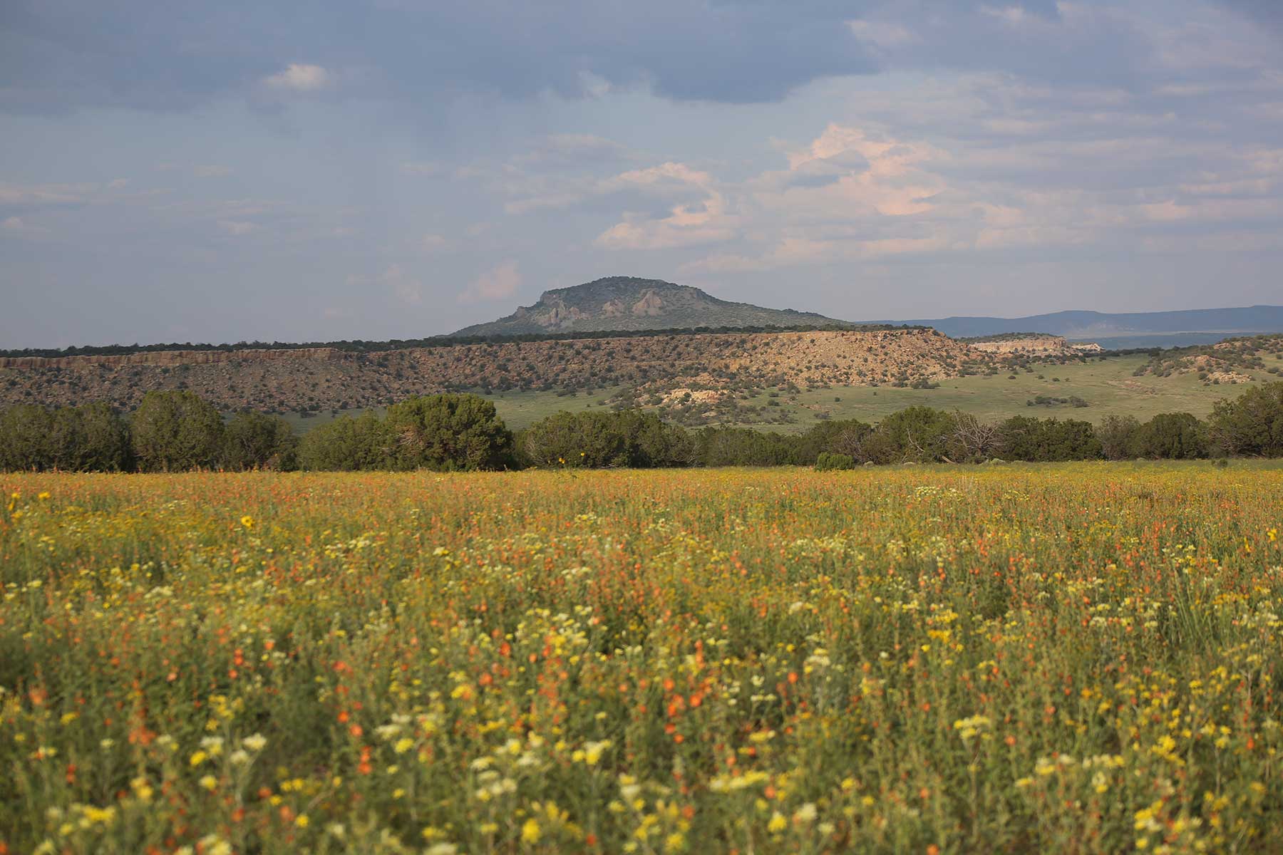 The Great Western Ranch - Sold - New Mexico - Hall and Hall