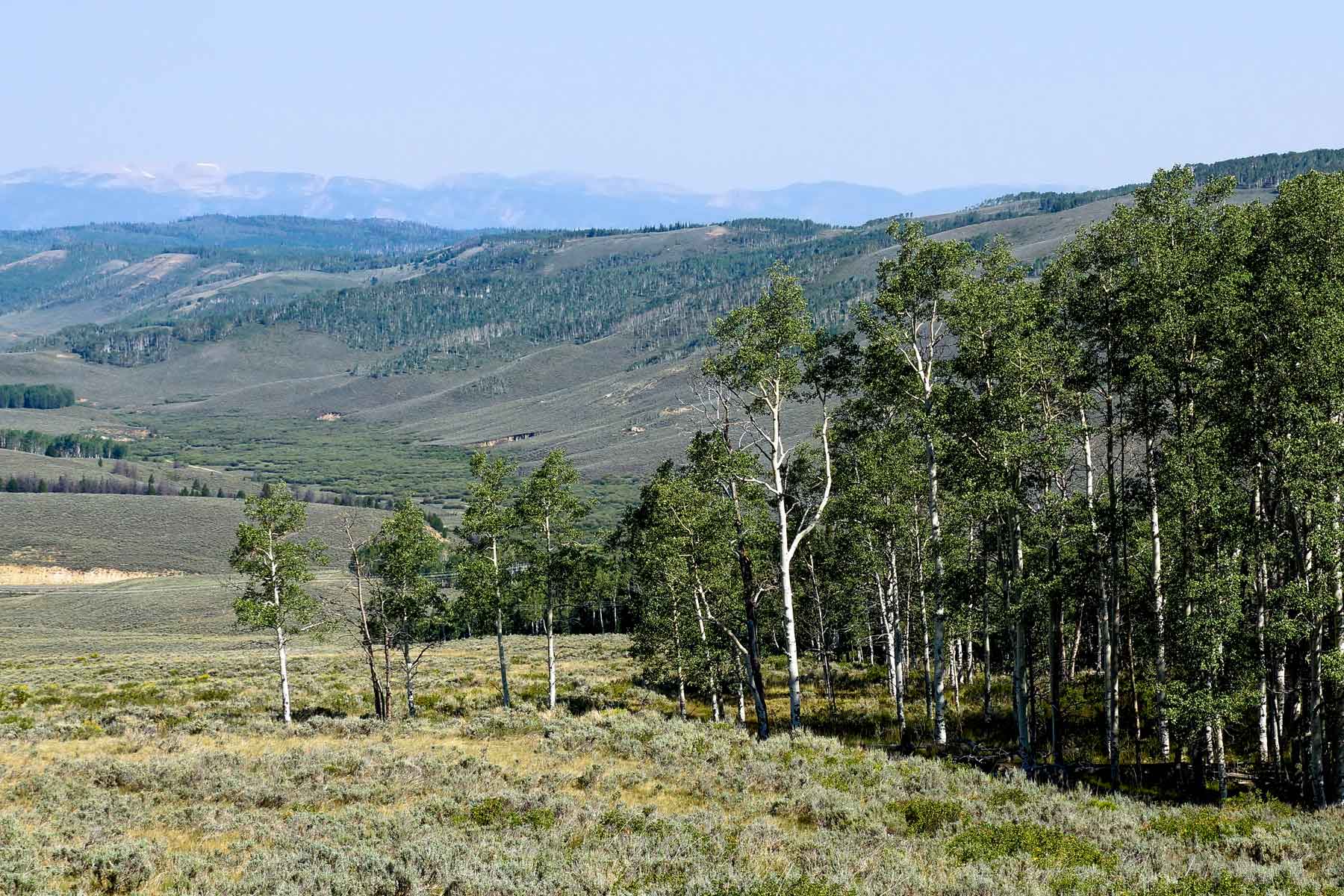 Double X Ranch - Sold - Colorado - Hall and Hall