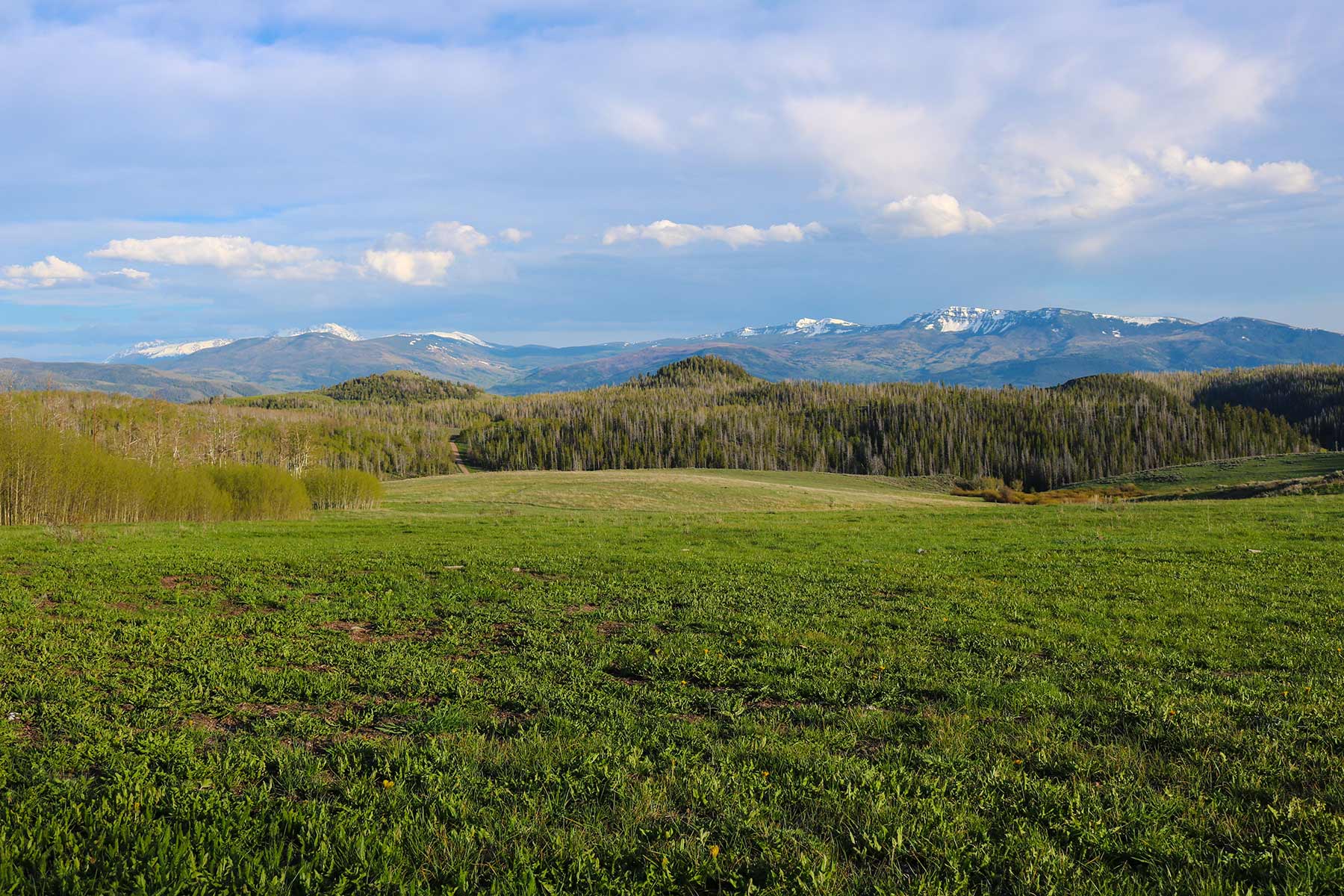 Aspen Ridge Ranch - Sold - Colorado - Hall and Hall