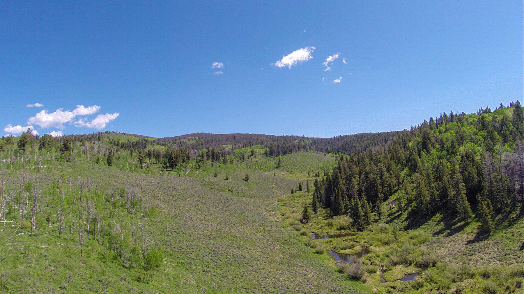 Aspen Ridge Ranch - Sold - Colorado - Hall and Hall