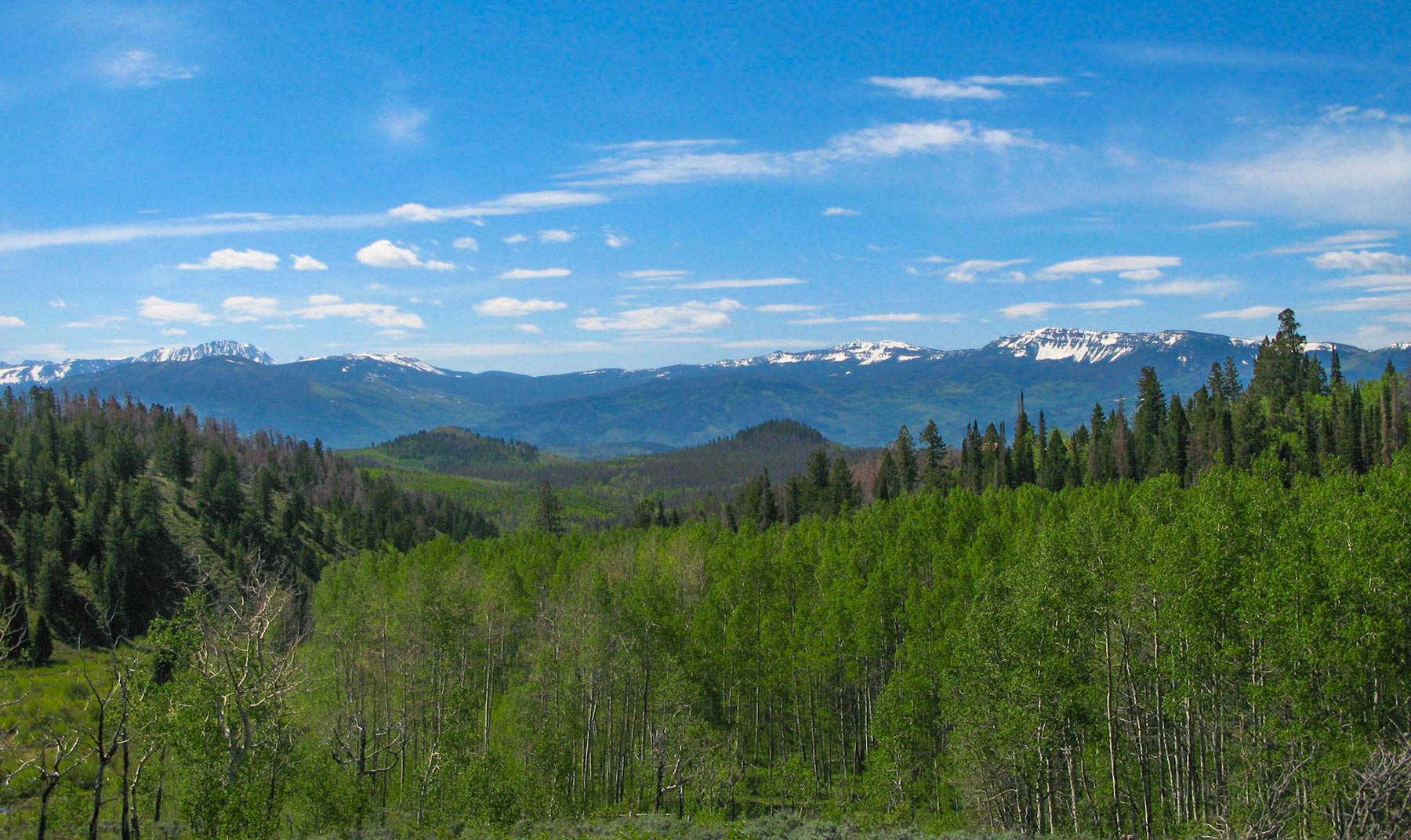 Aspen Ridge Ranch - Sold - Colorado - Hall and Hall