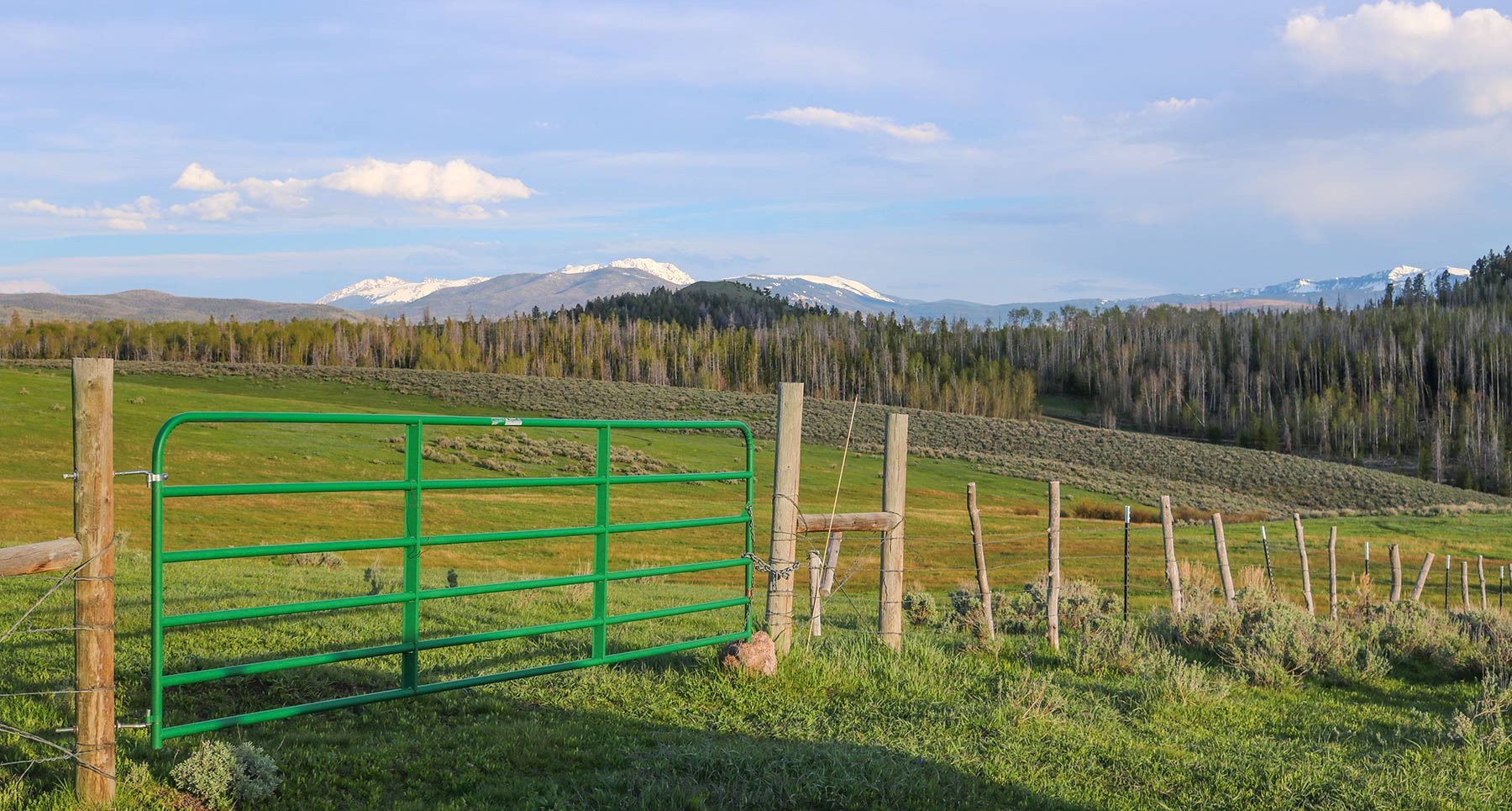 Aspen Ridge Ranch - Sold - Colorado - Hall and Hall