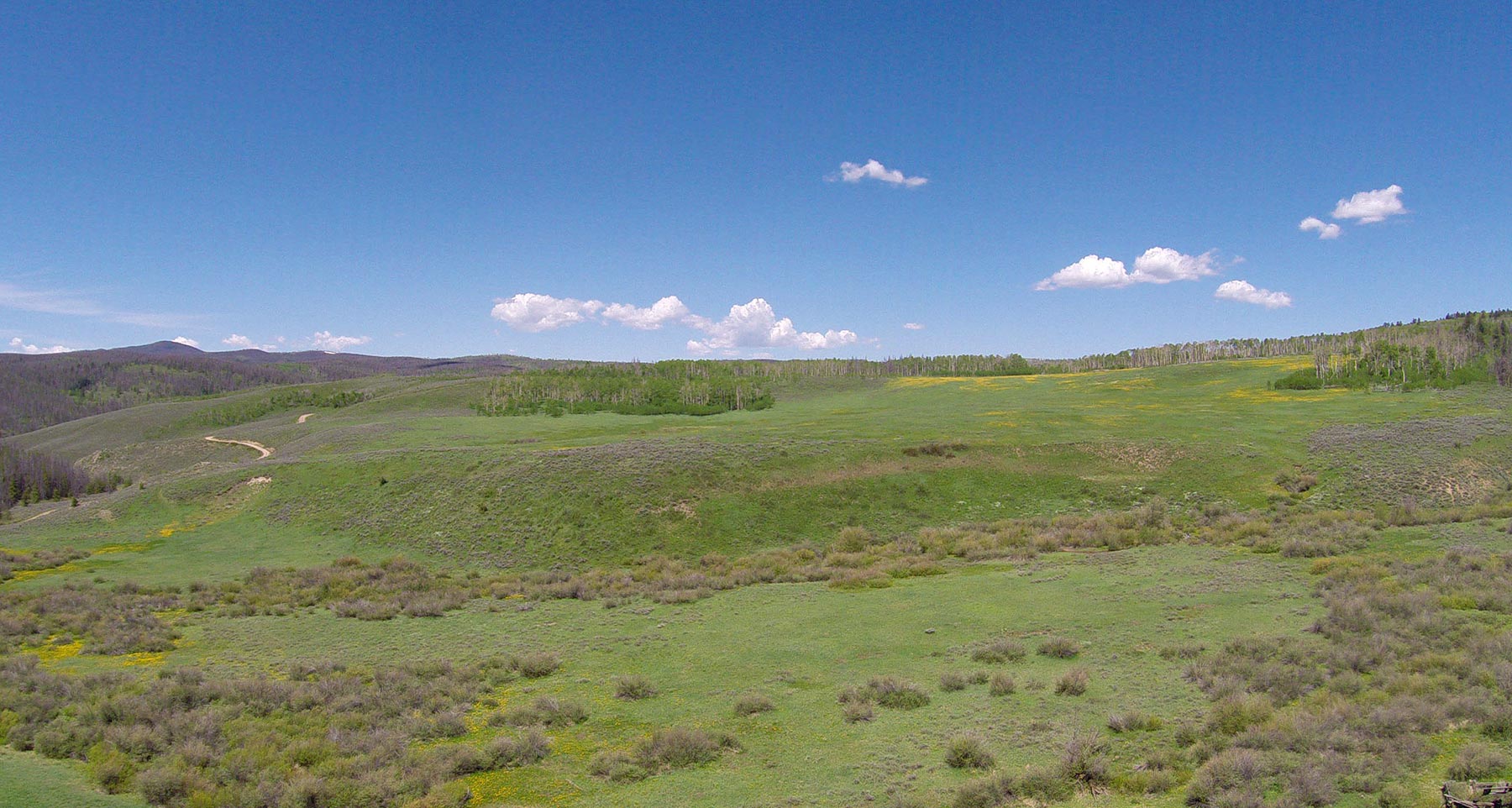 Aspen Ridge Ranch - Sold - Colorado - Hall and Hall