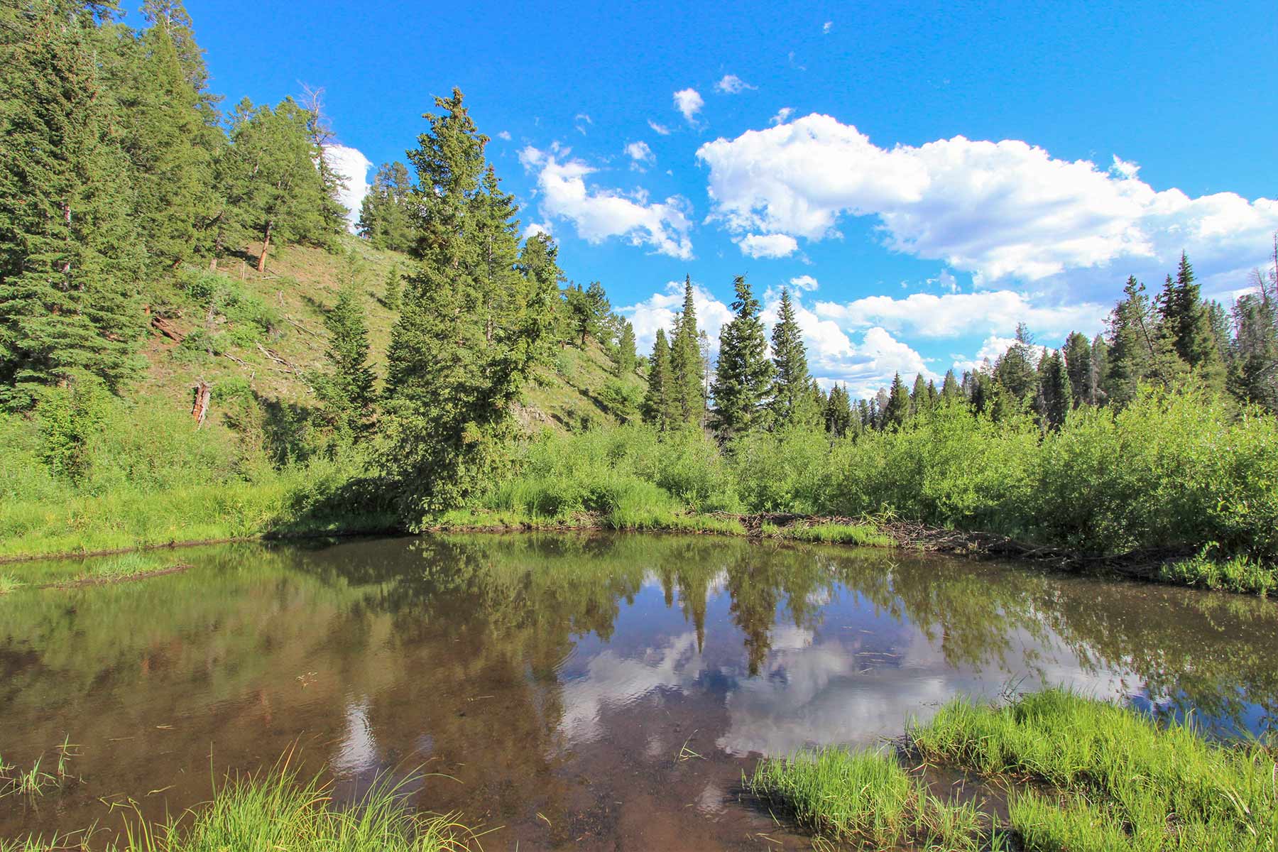 Aspen Ridge Ranch - Sold - Colorado - Hall and Hall
