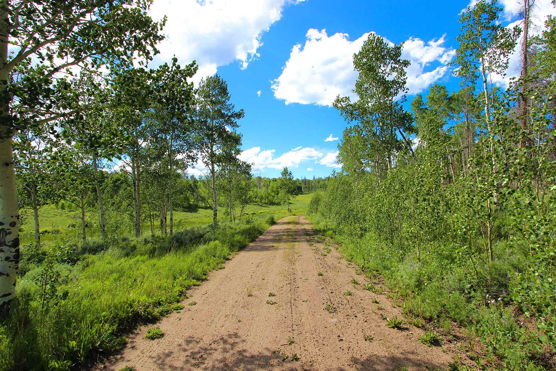 Aspen Ridge Ranch - Sold - Colorado - Hall and Hall