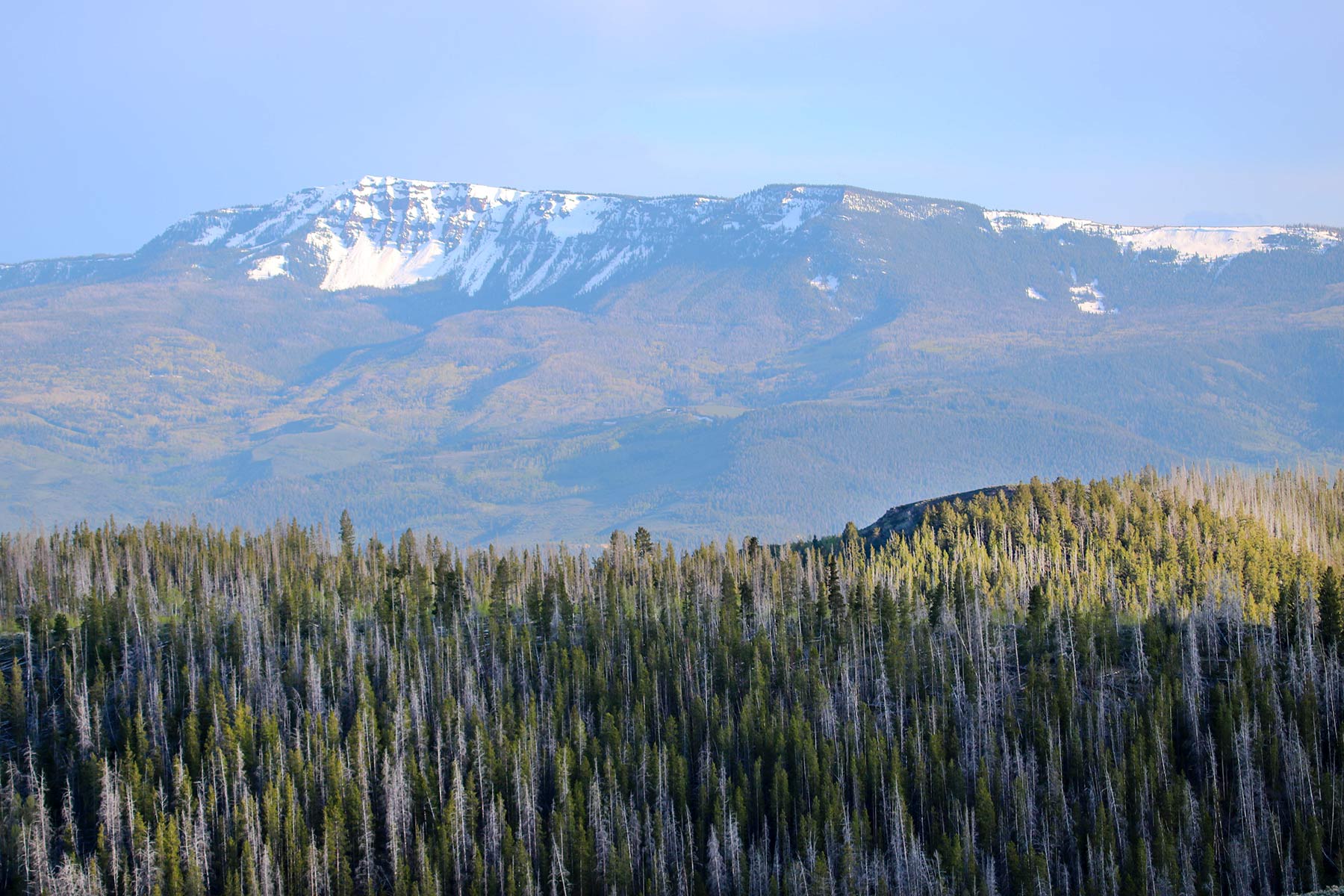 Aspen Ridge Ranch - Sold - Colorado - Hall and Hall