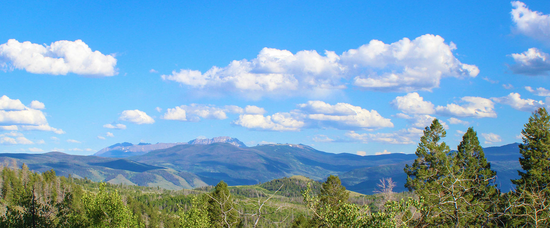 Aspen Ridge Ranch - Sold - Colorado - Hall and Hall
