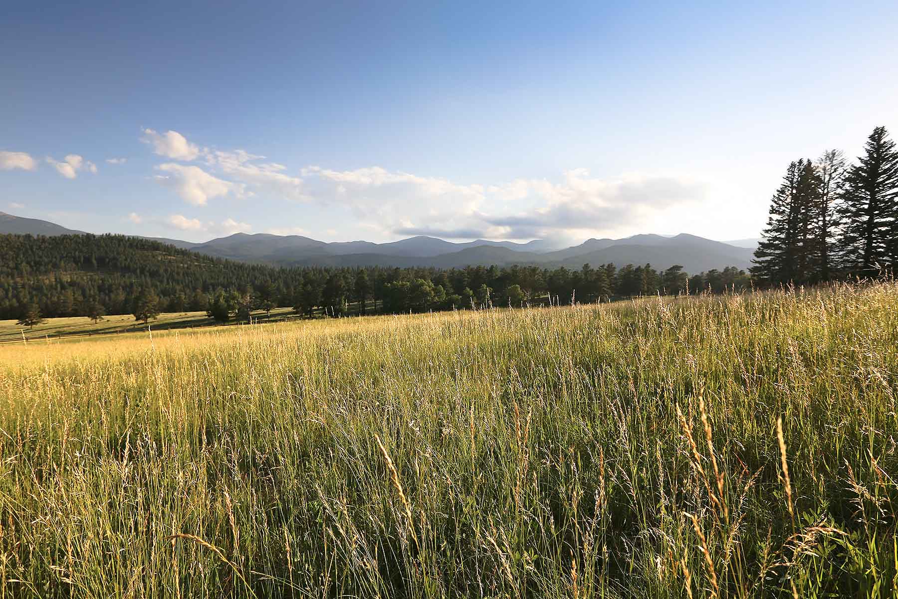 Corral Creek Ranch - CO - Sold - Colorado - Hall and Hall