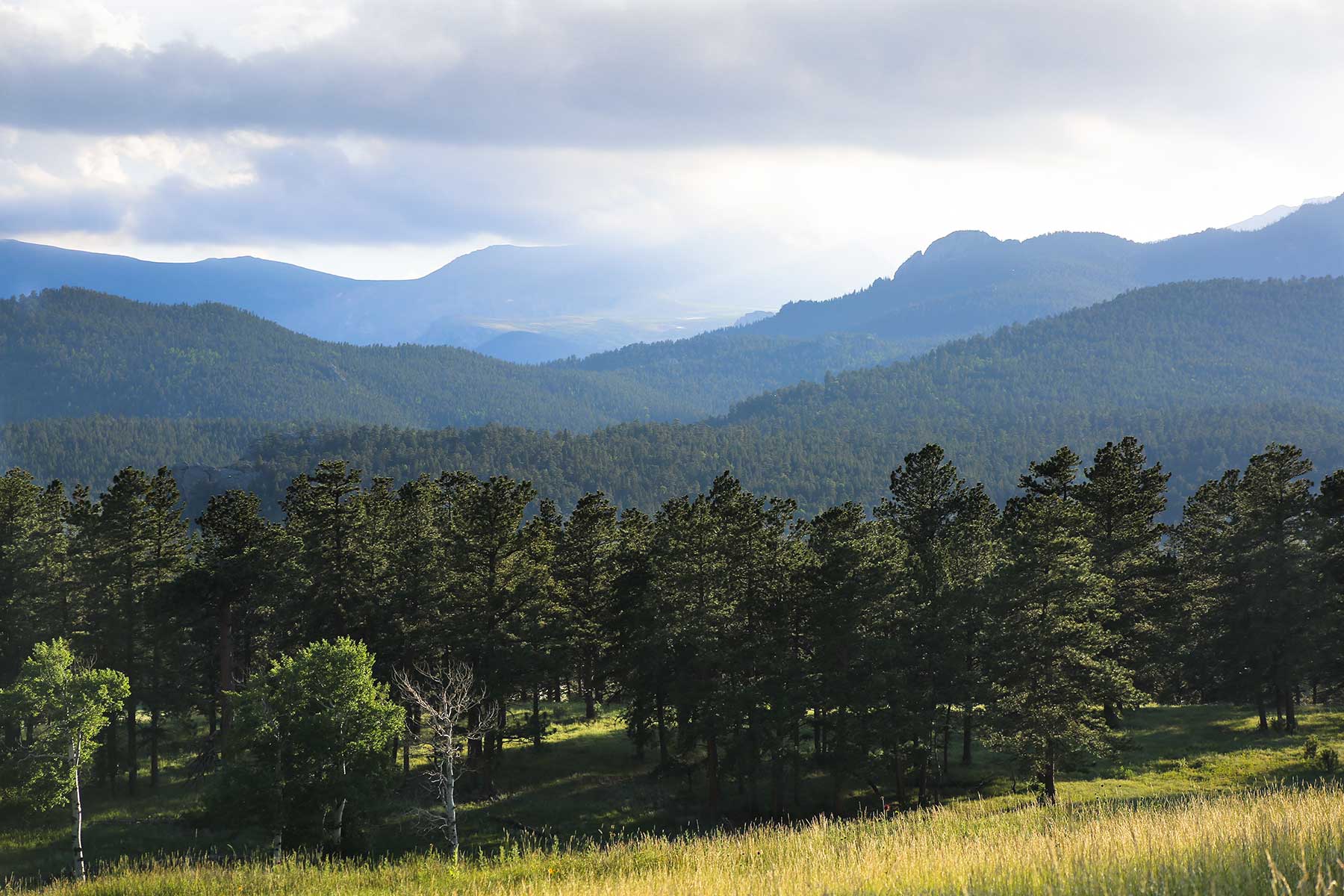 Corral Creek Ranch - CO - Sold - Colorado - Hall and Hall