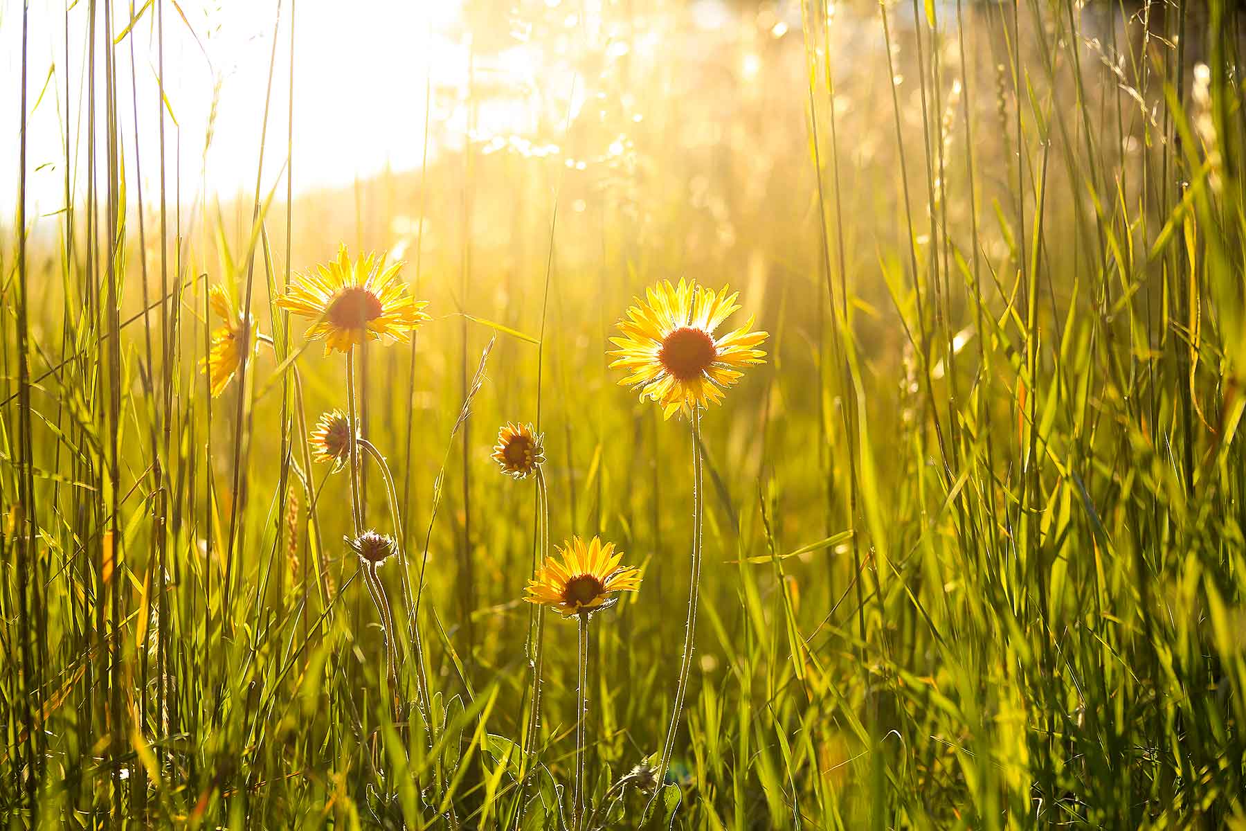 Corral Creek Ranch - CO - Sold - Colorado - Hall and Hall