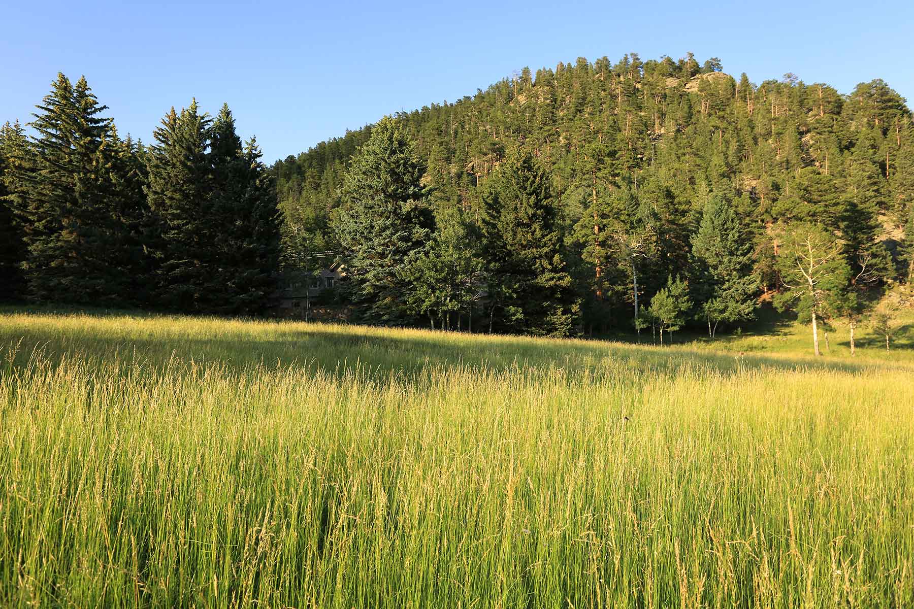 Corral Creek Ranch - CO - Sold - Colorado - Hall and Hall