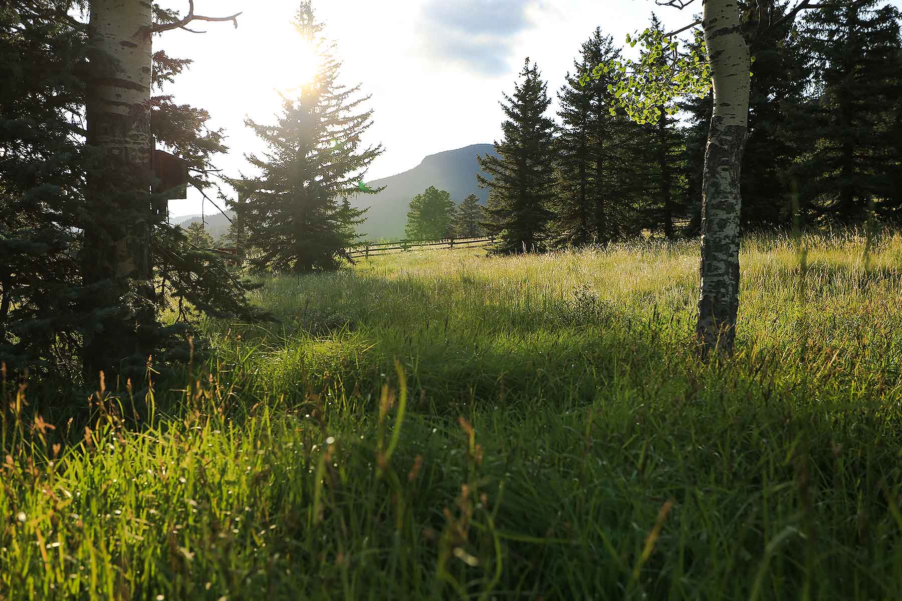 Corral Creek Ranch - CO - Sold - Colorado - Hall and Hall