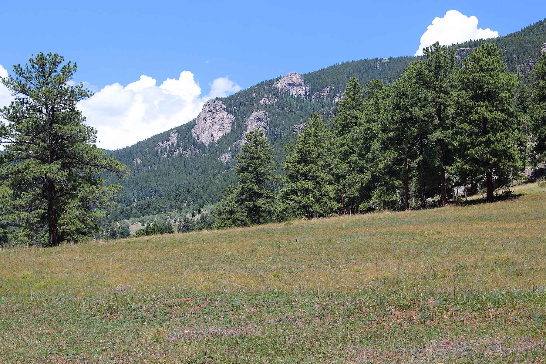 Corral Creek Ranch - CO - Sold - Colorado - Hall and Hall