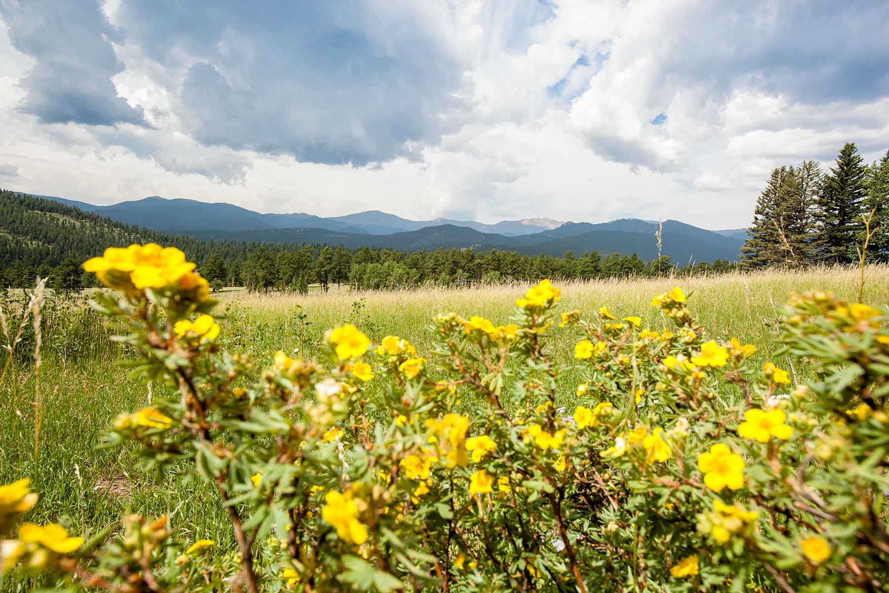 Corral Creek Ranch - CO - Sold - Colorado - Hall and Hall