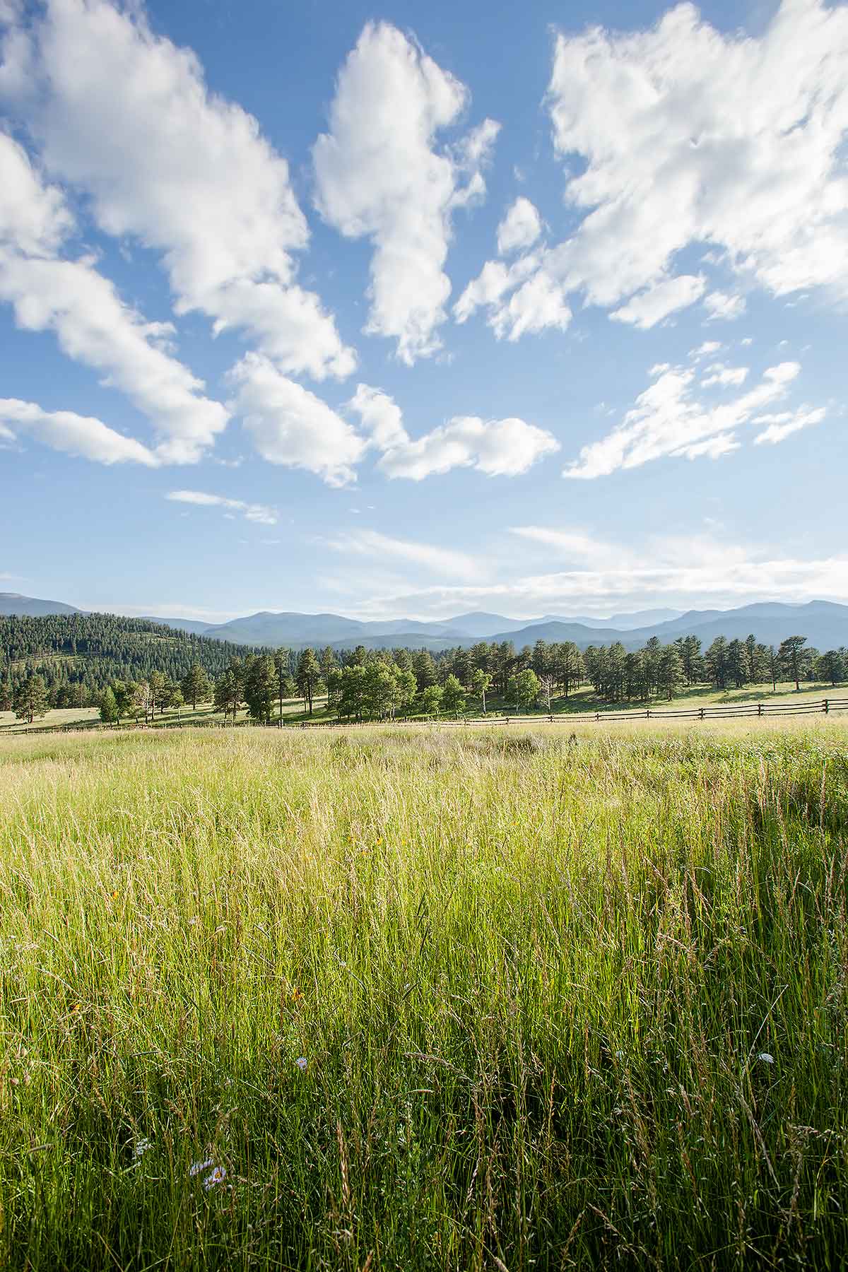 Corral Creek Ranch - CO - Sold - Colorado - Hall and Hall