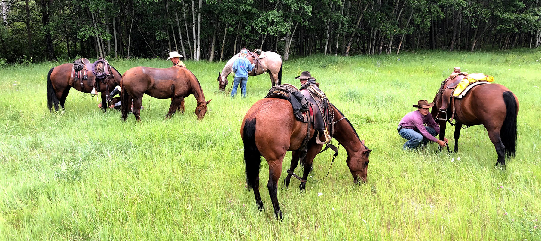 IX Ranch - Sold - Montana - Hall and Hall