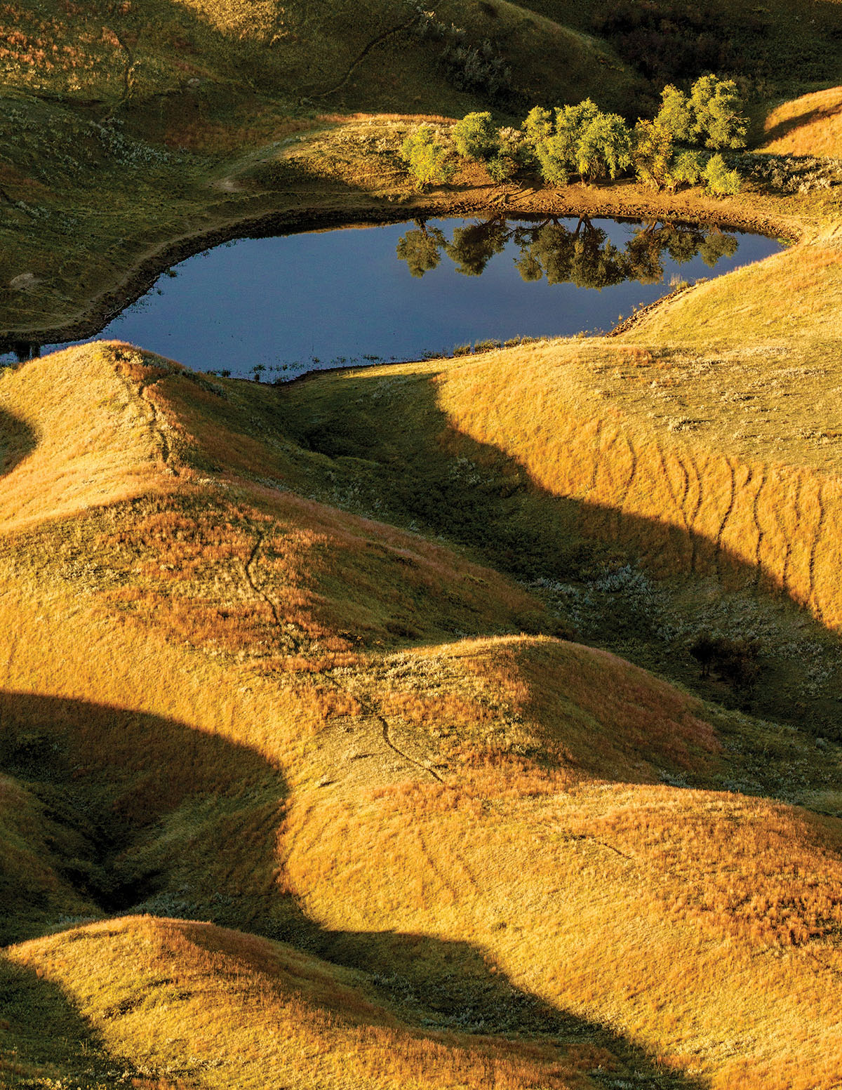 IX Ranch - Sold - Montana - Hall and Hall