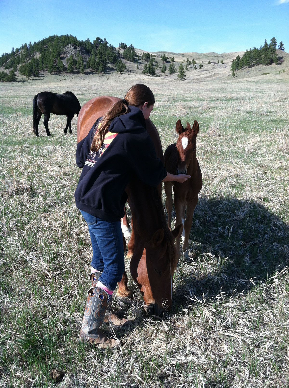 IX Ranch - Sold - Montana - Hall and Hall