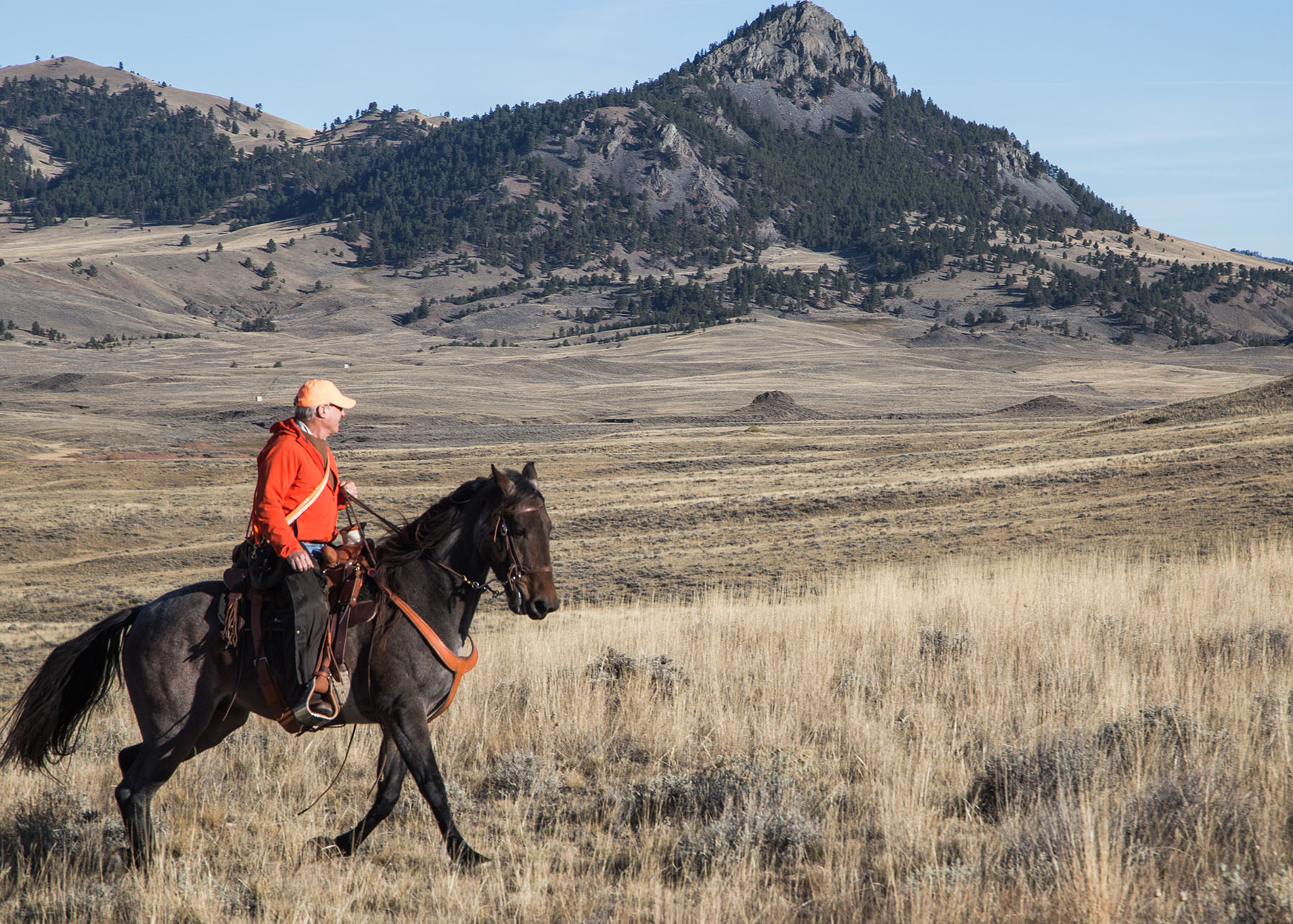 IX Ranch - Sold - Montana - Hall and Hall