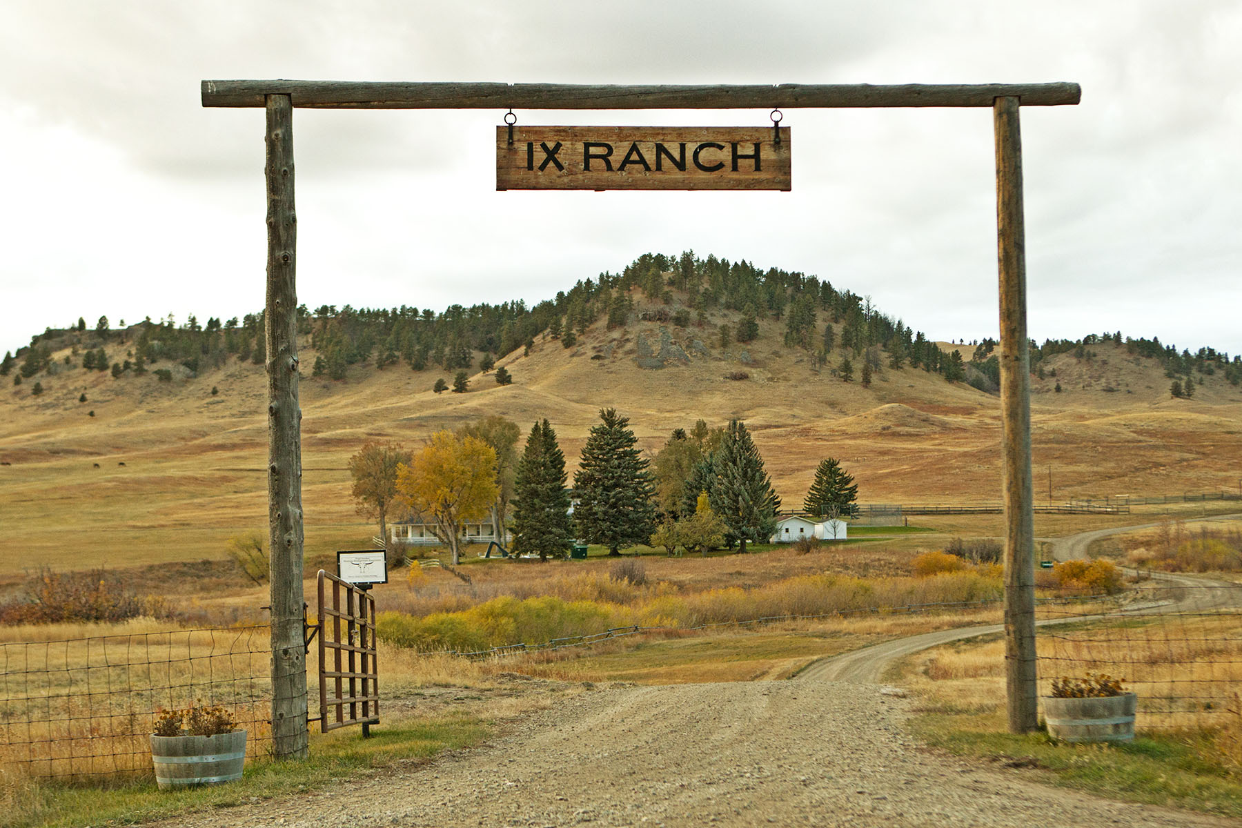 IX Ranch - Hall and Hall