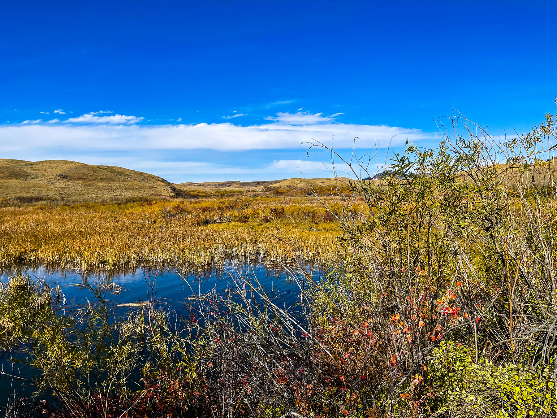 IX Ranch - Sold - Montana - Hall and Hall