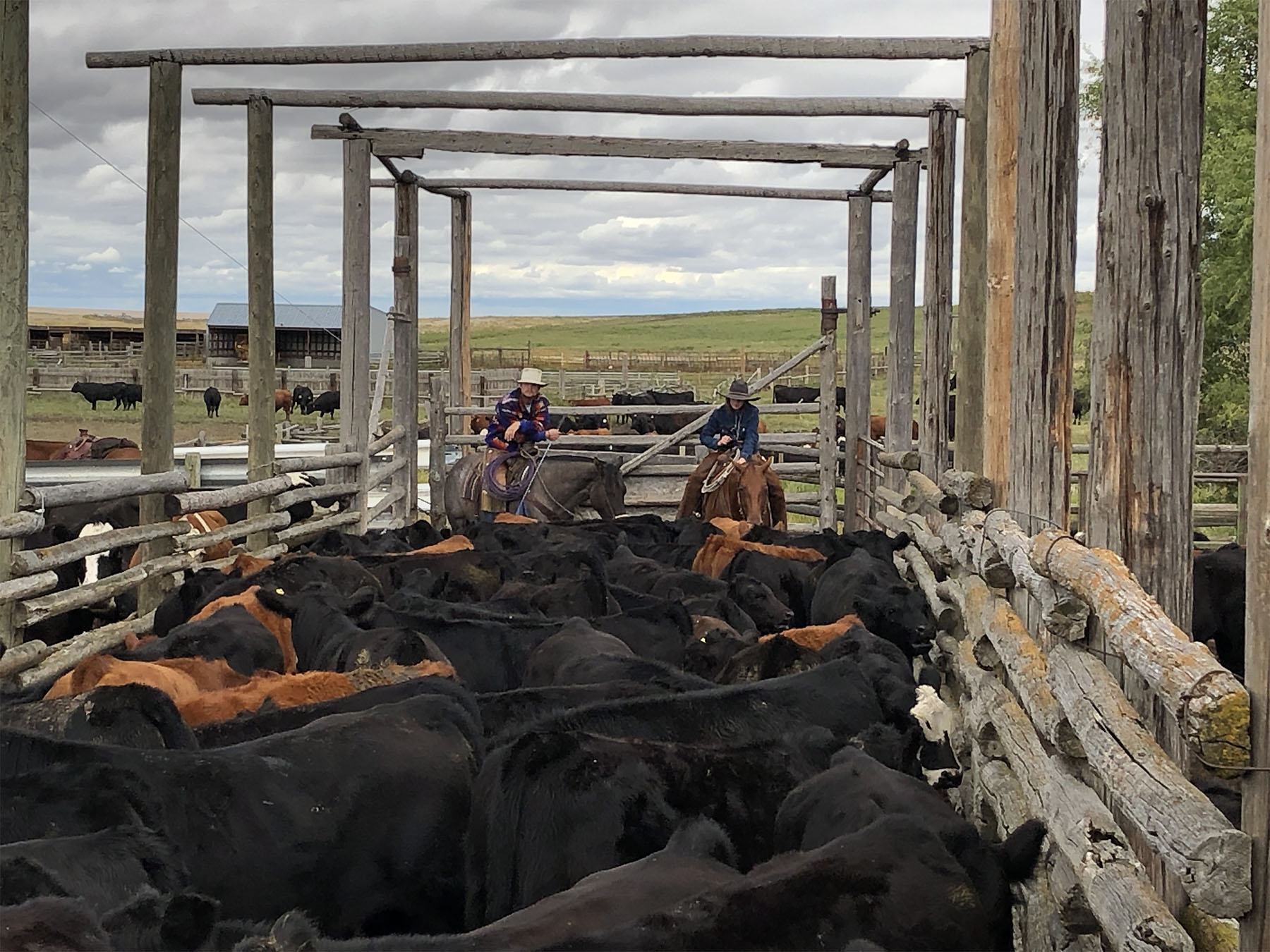 IX Ranch - Hall and Hall