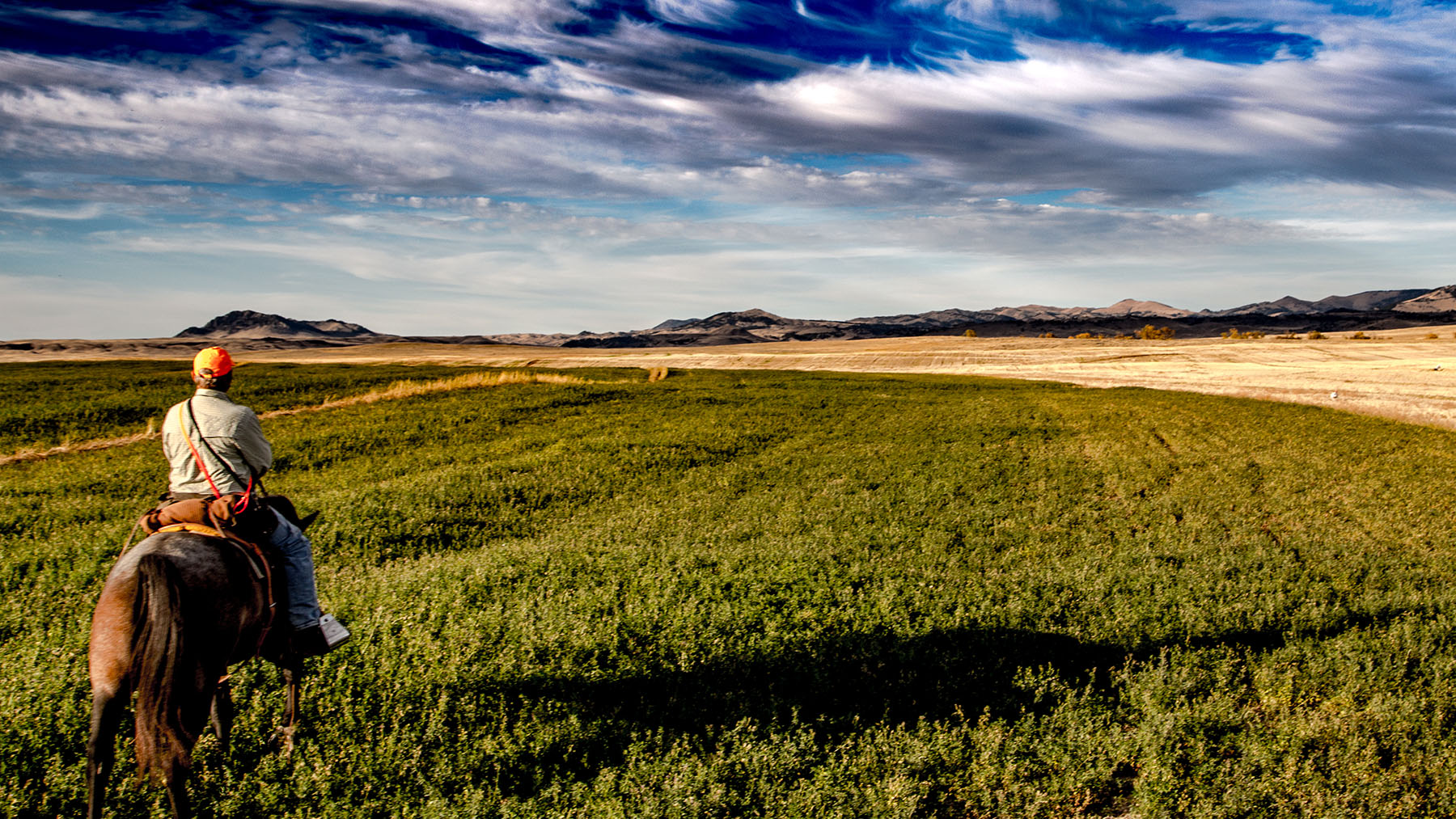 IX Ranch - Hall and Hall