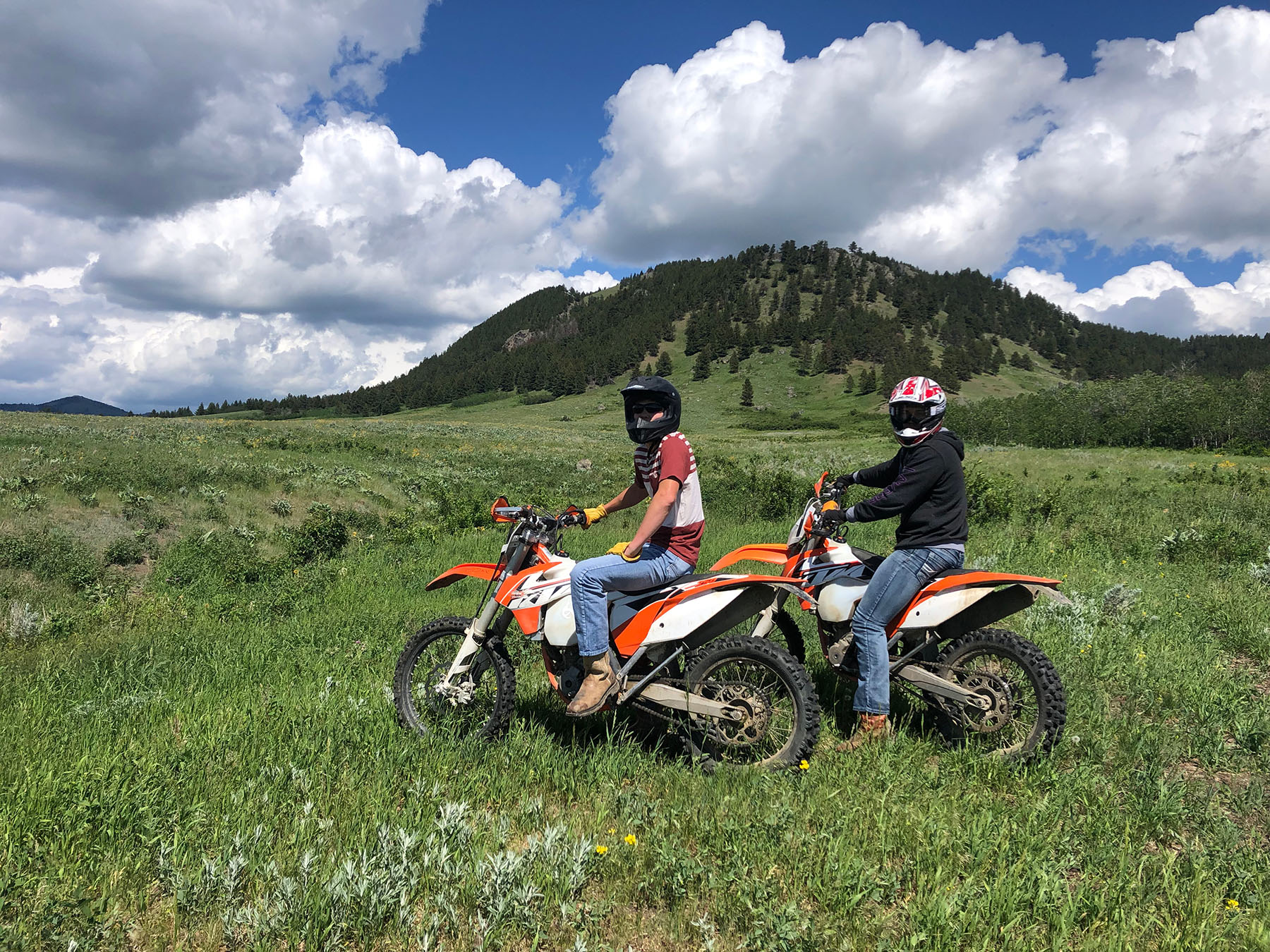 IX Ranch - Sold - Montana - Hall and Hall