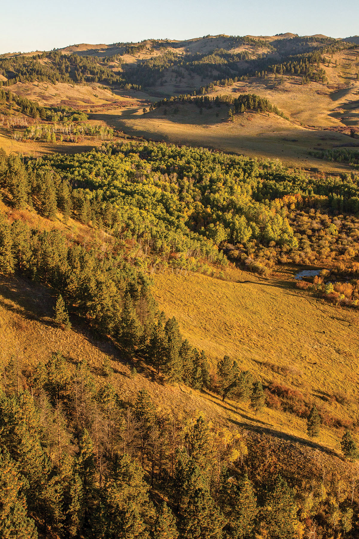 IX Ranch - Sold - Montana - Hall and Hall