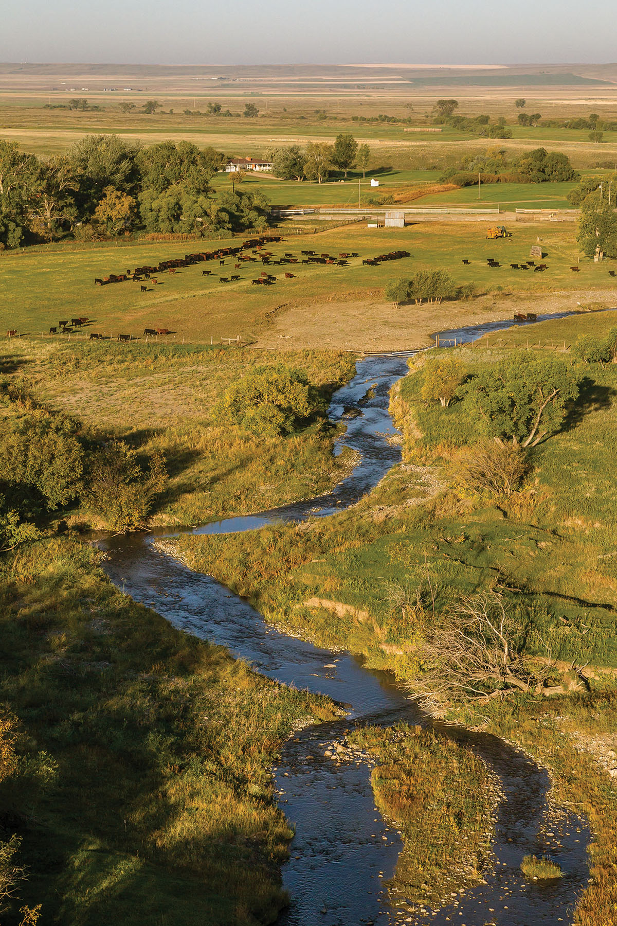 IX Ranch - Sold - Montana - Hall and Hall