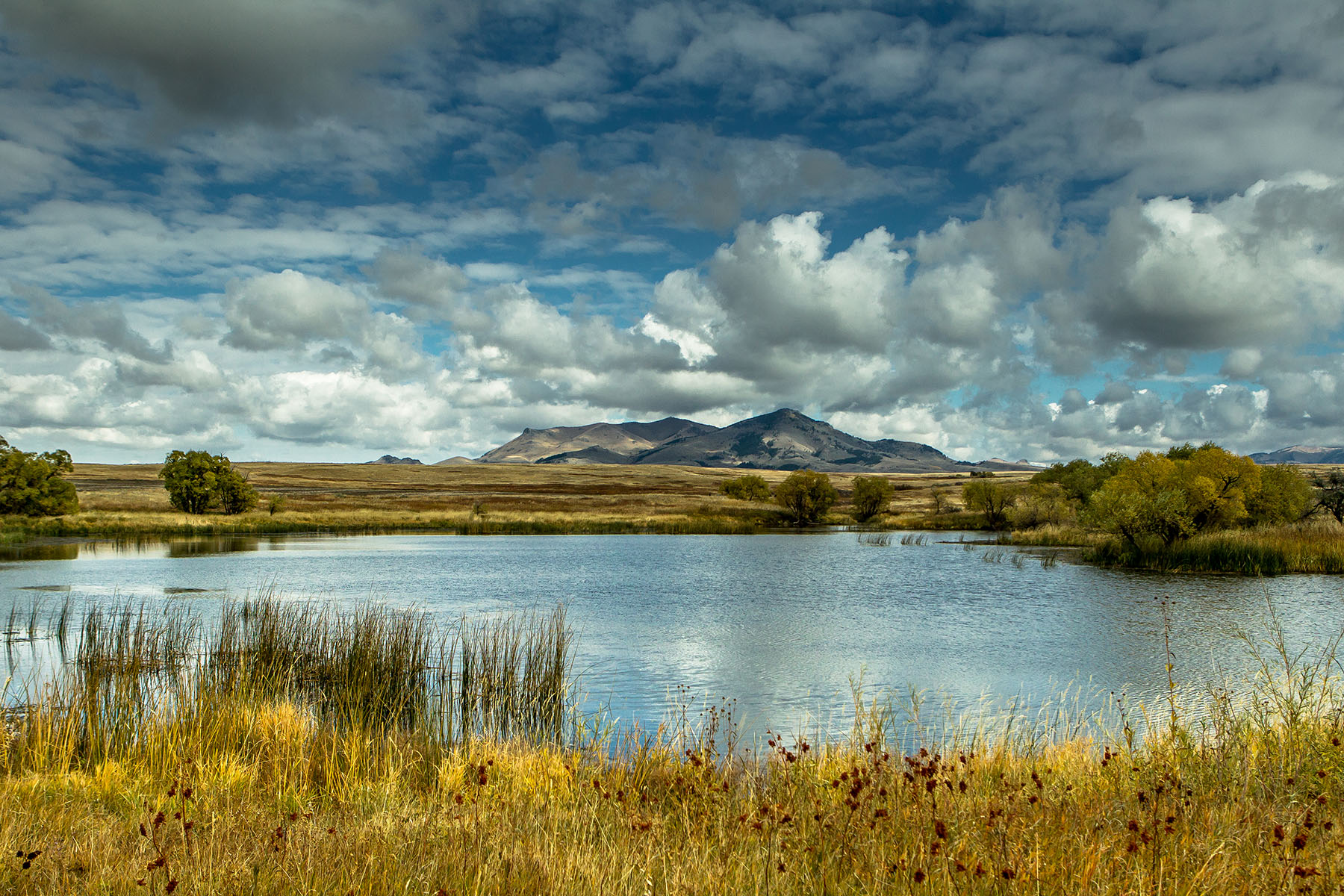 IX Ranch - Sold - Montana - Hall and Hall