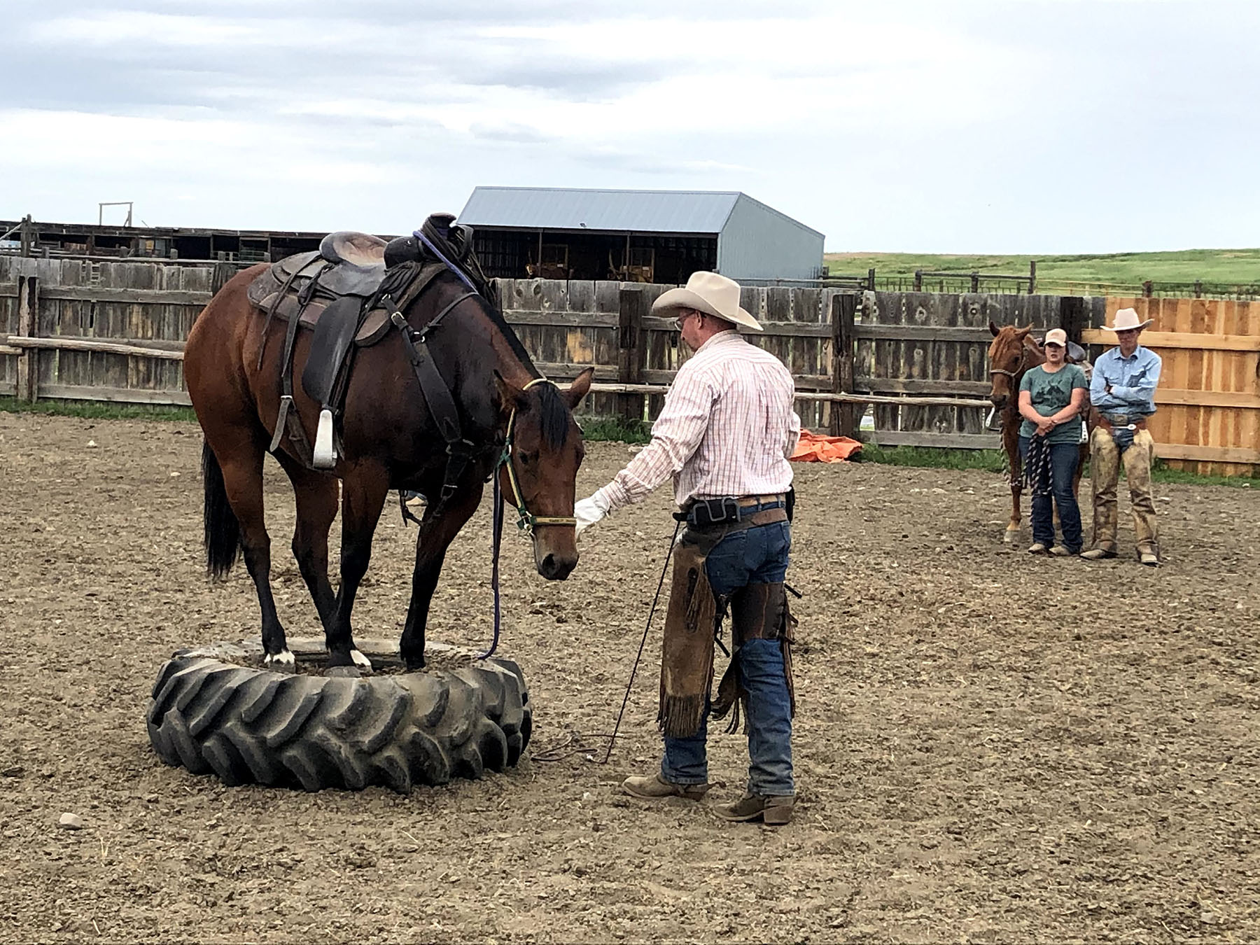 IX Ranch - Sold - Montana - Hall and Hall