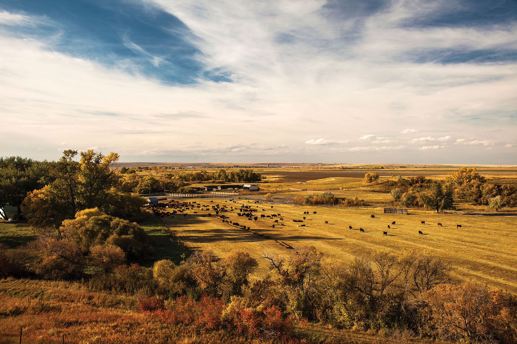 IX Ranch - Sold - Montana - Hall and Hall
