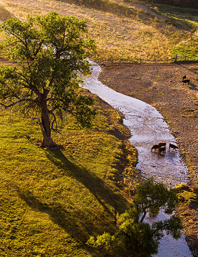 IX Ranch - Hall and Hall