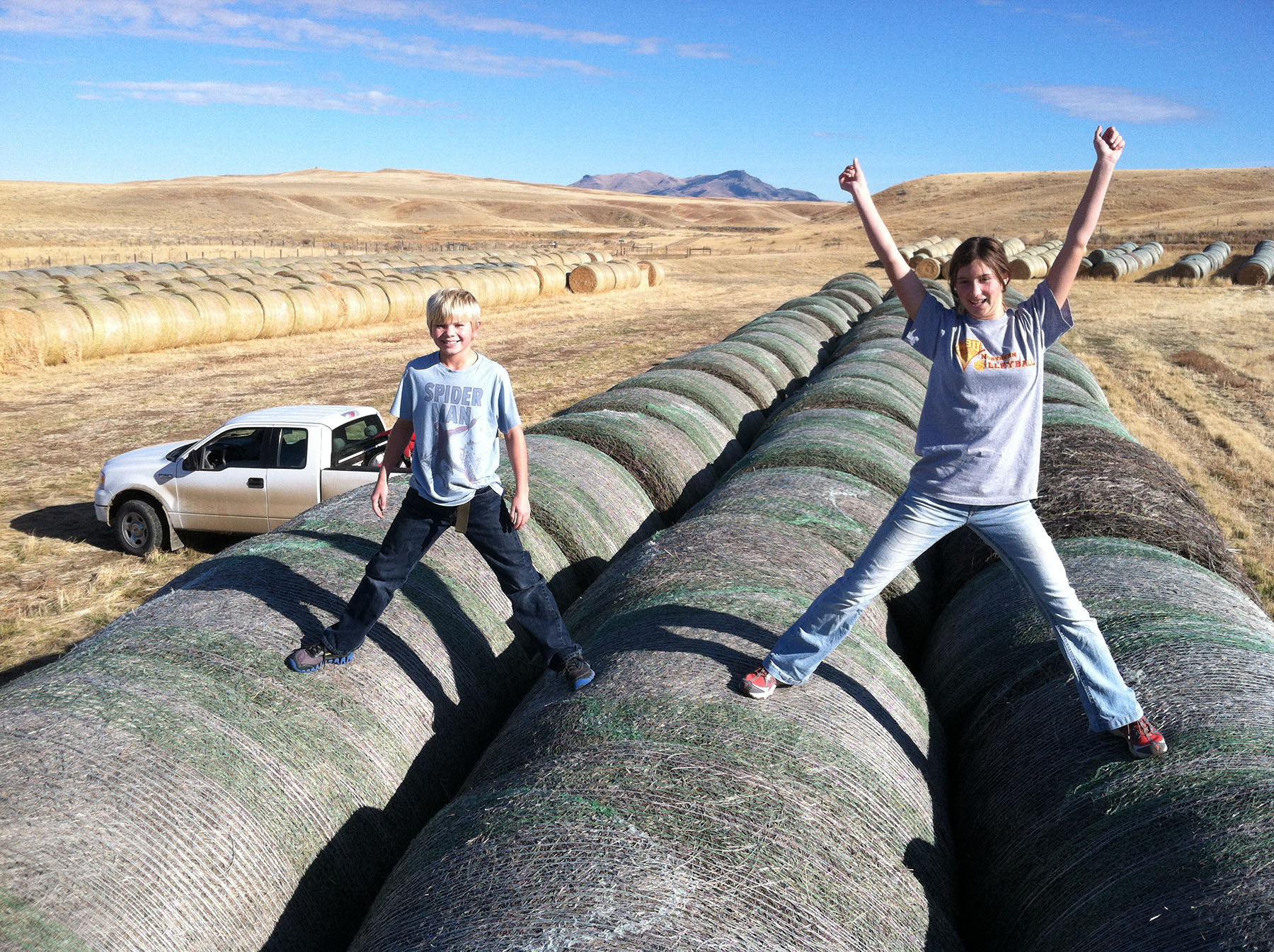 IX Ranch - Sold - Montana - Hall and Hall