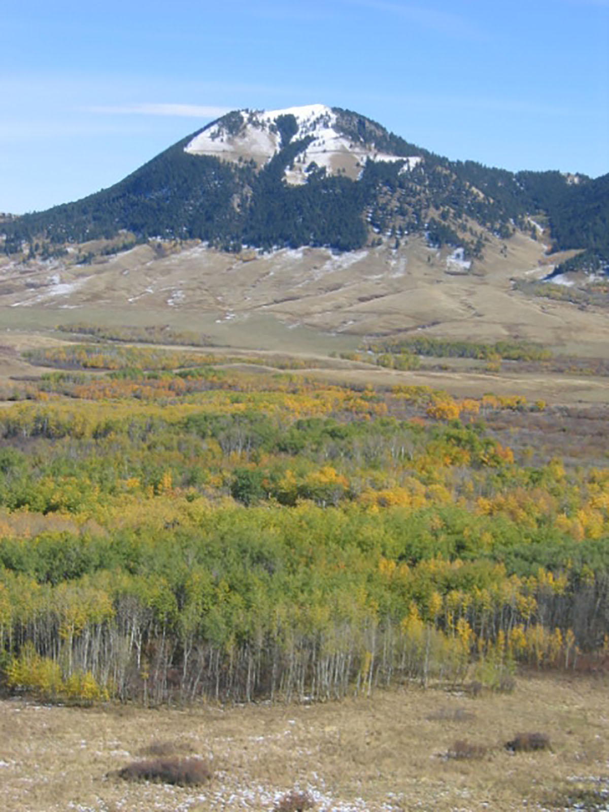 IX Ranch - Sold - Montana - Hall and Hall