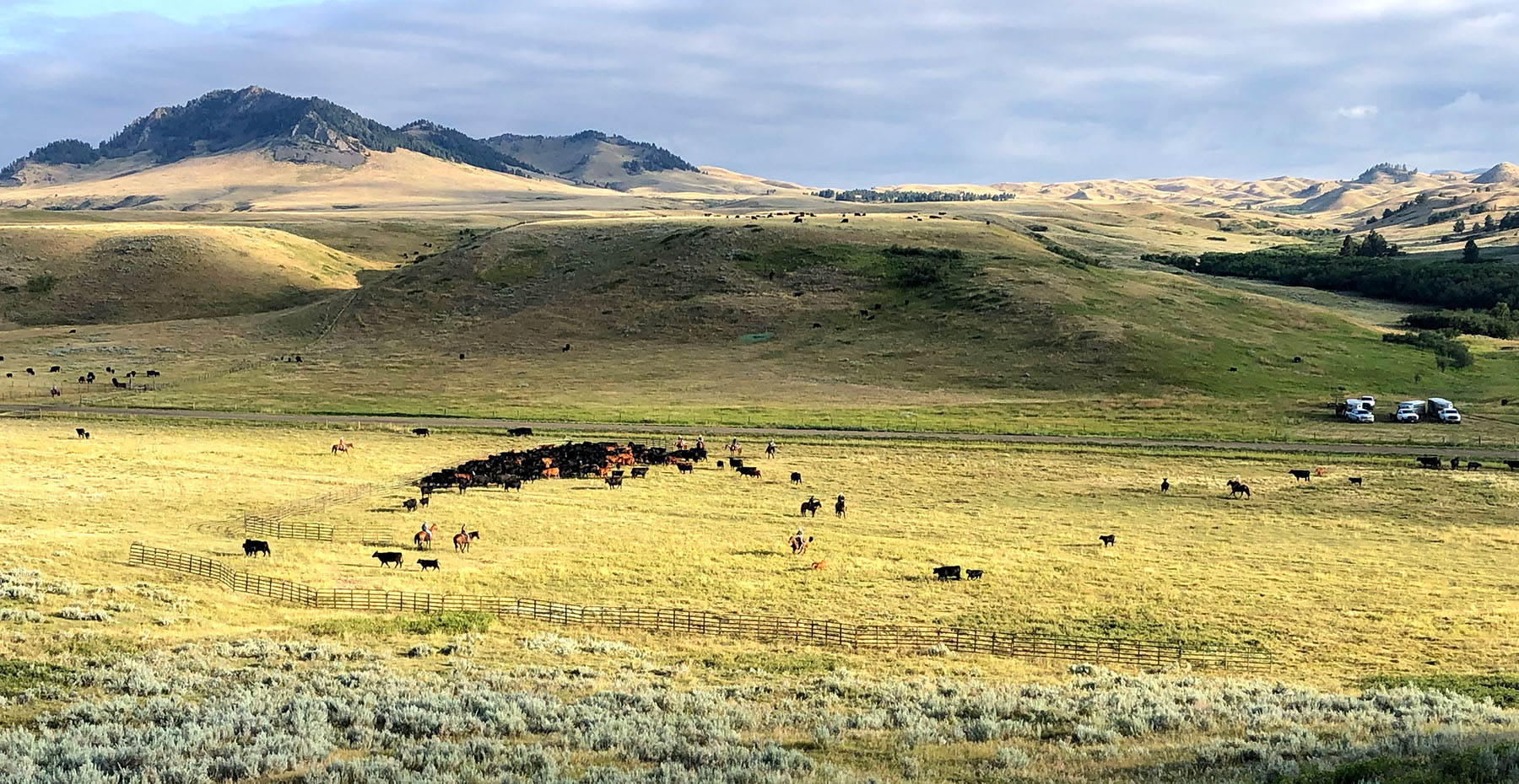 IX Ranch - Sold - Montana - Hall and Hall