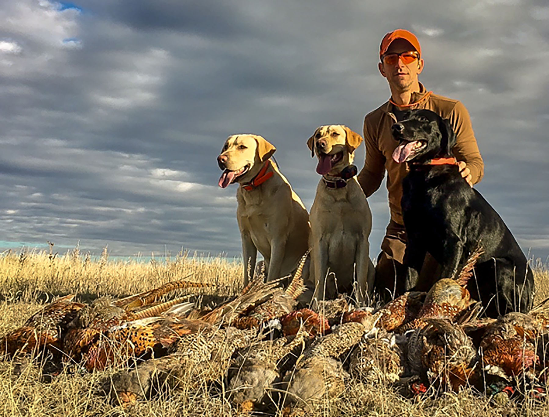 IX Ranch - Sold - Montana - Hall and Hall