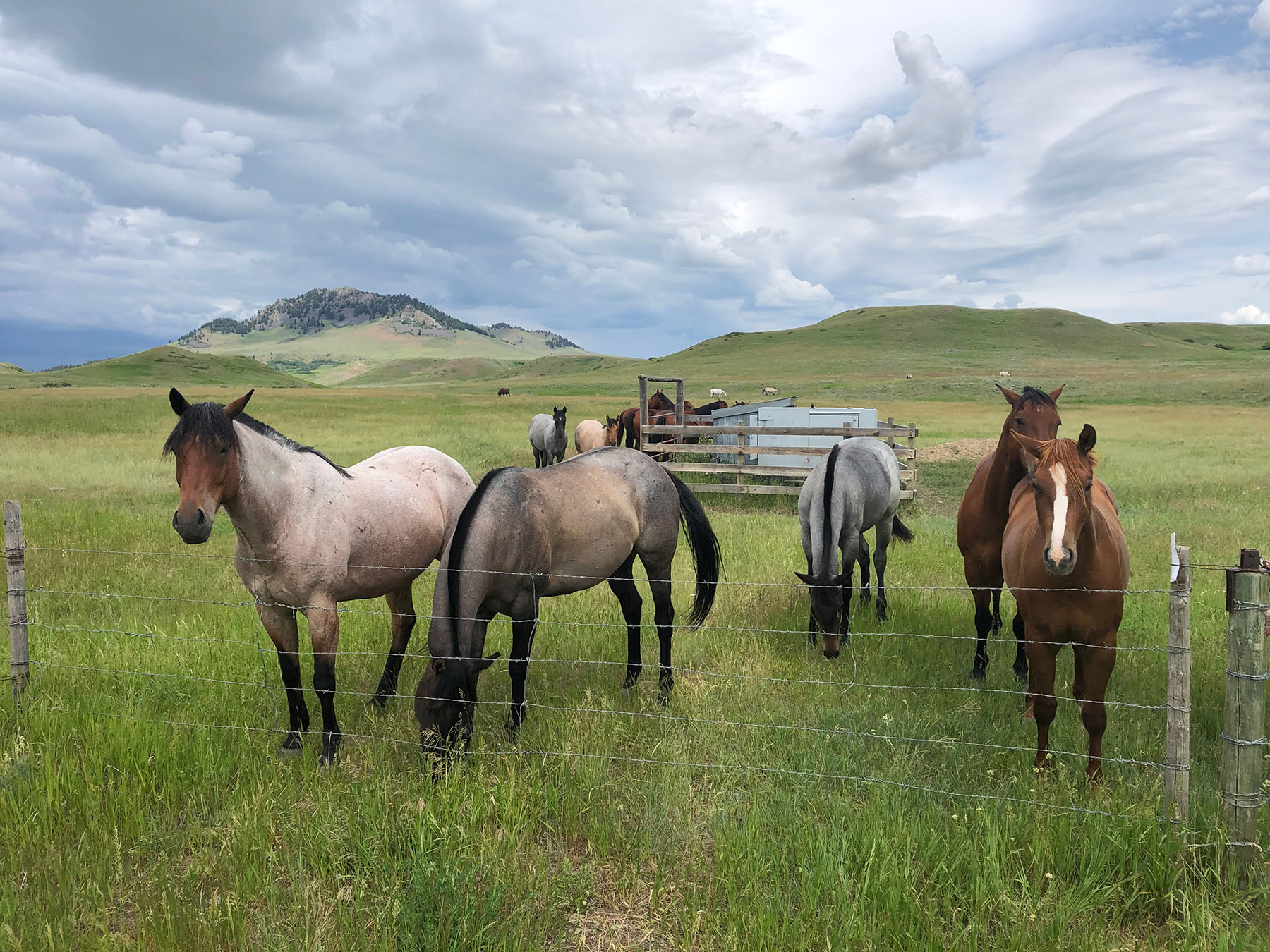 IX Ranch - Sold - Montana - Hall and Hall