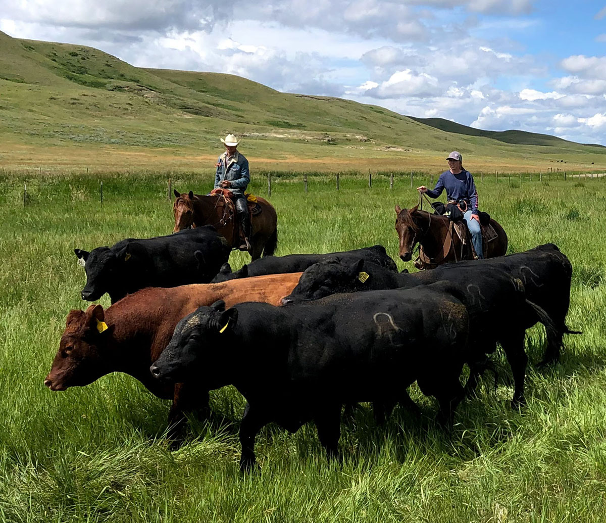 IX Ranch - Sold - Montana - Hall and Hall