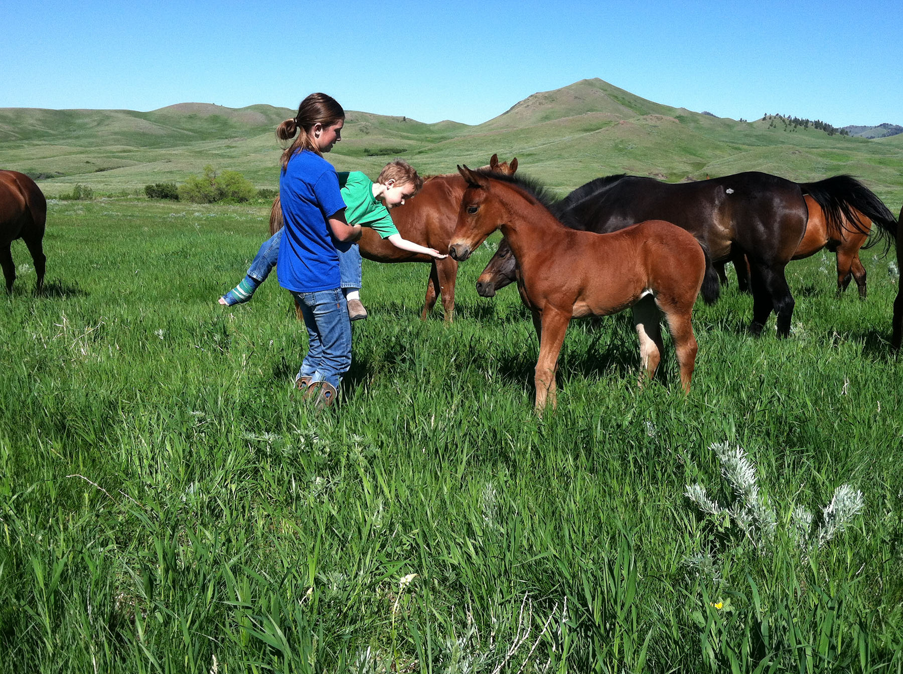 IX Ranch - Sold - Montana - Hall and Hall