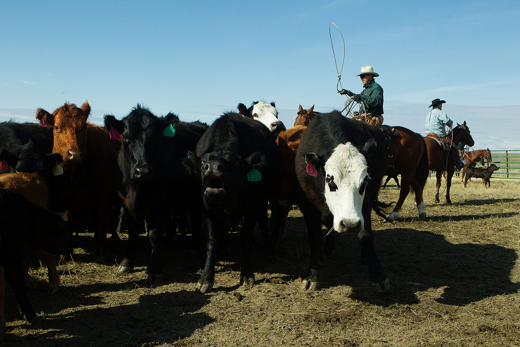 IX Ranch - Hall and Hall