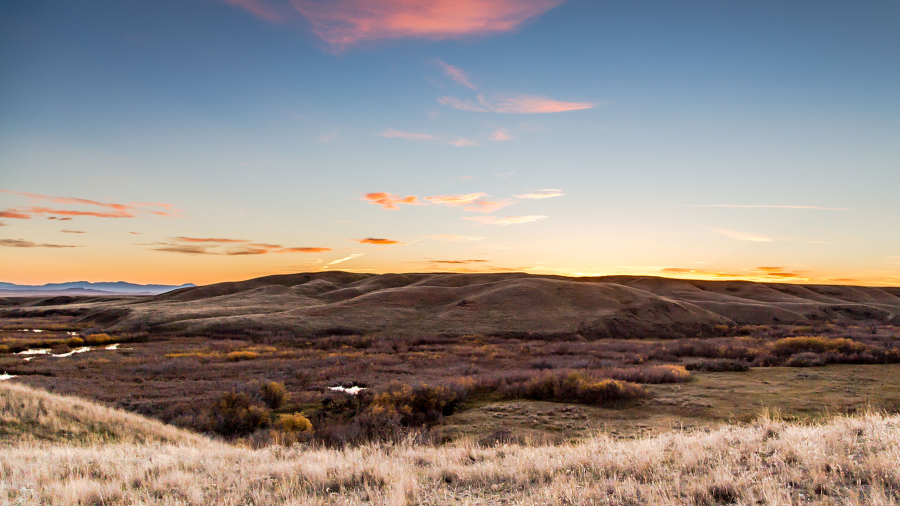 IX Ranch - Hall and Hall