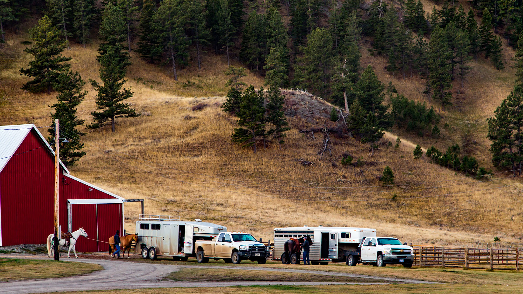 IX Ranch - Hall and Hall