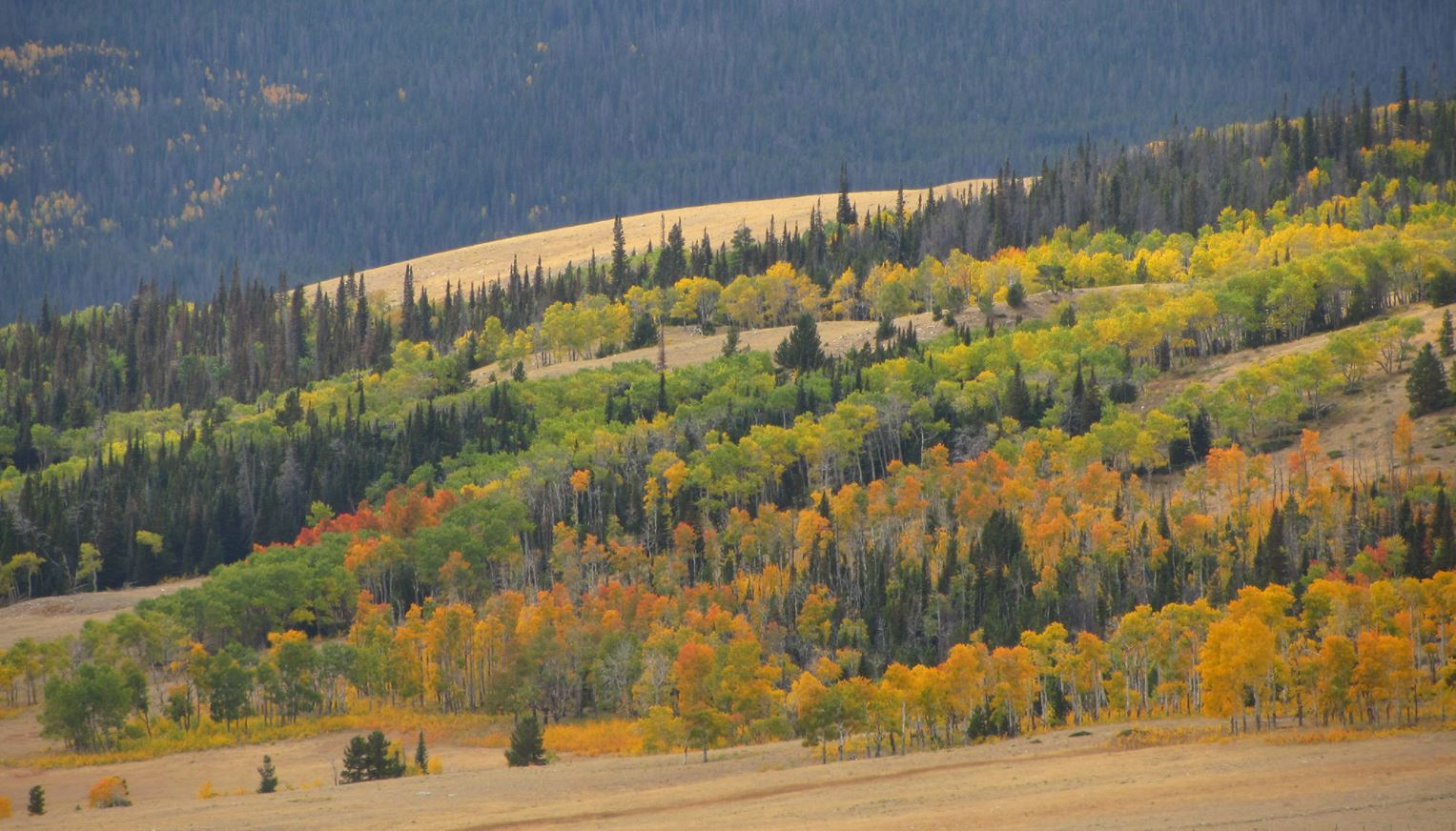 Snowy Range Ranch - Past Auction - Wyoming - Hall and Hall