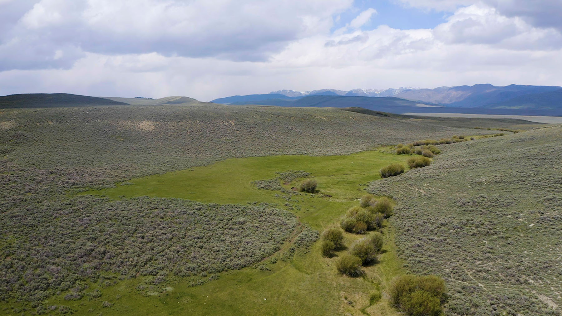 Bar Cross Ranch - Sold - Wyoming - Hall and Hall