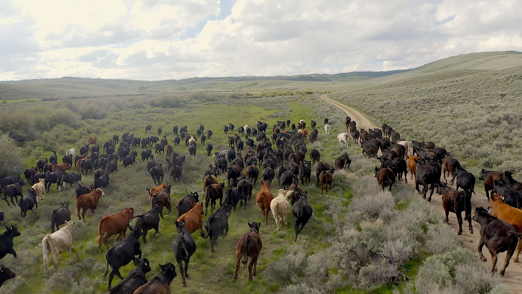 Bar Cross Ranch - Sold - Wyoming - Hall and Hall