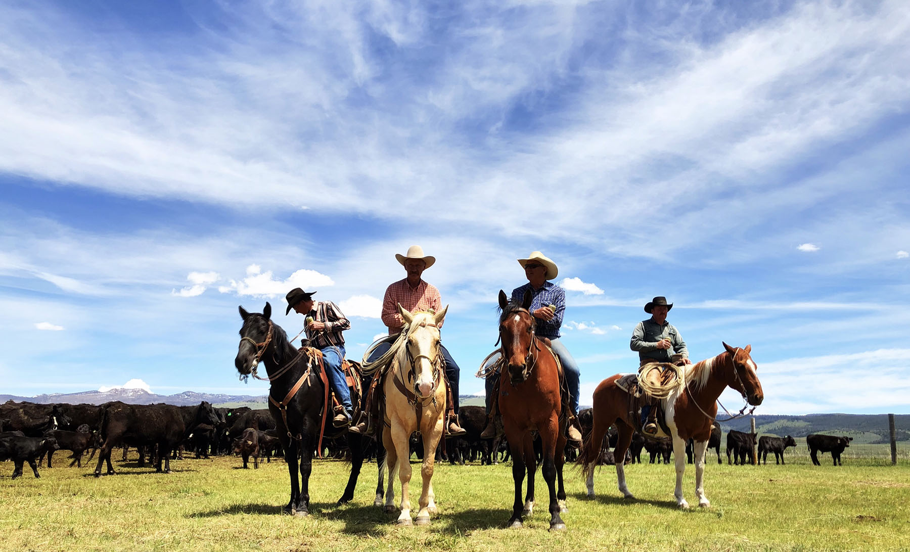 Bar Cross Ranch - Sold - Wyoming - Hall and Hall
