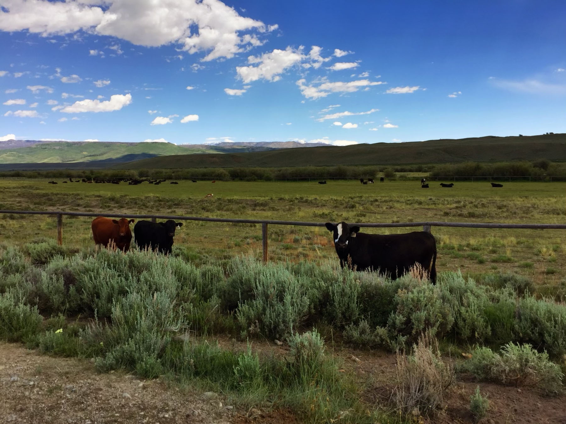 Bar Cross Ranch - Sold - Wyoming - Hall and Hall