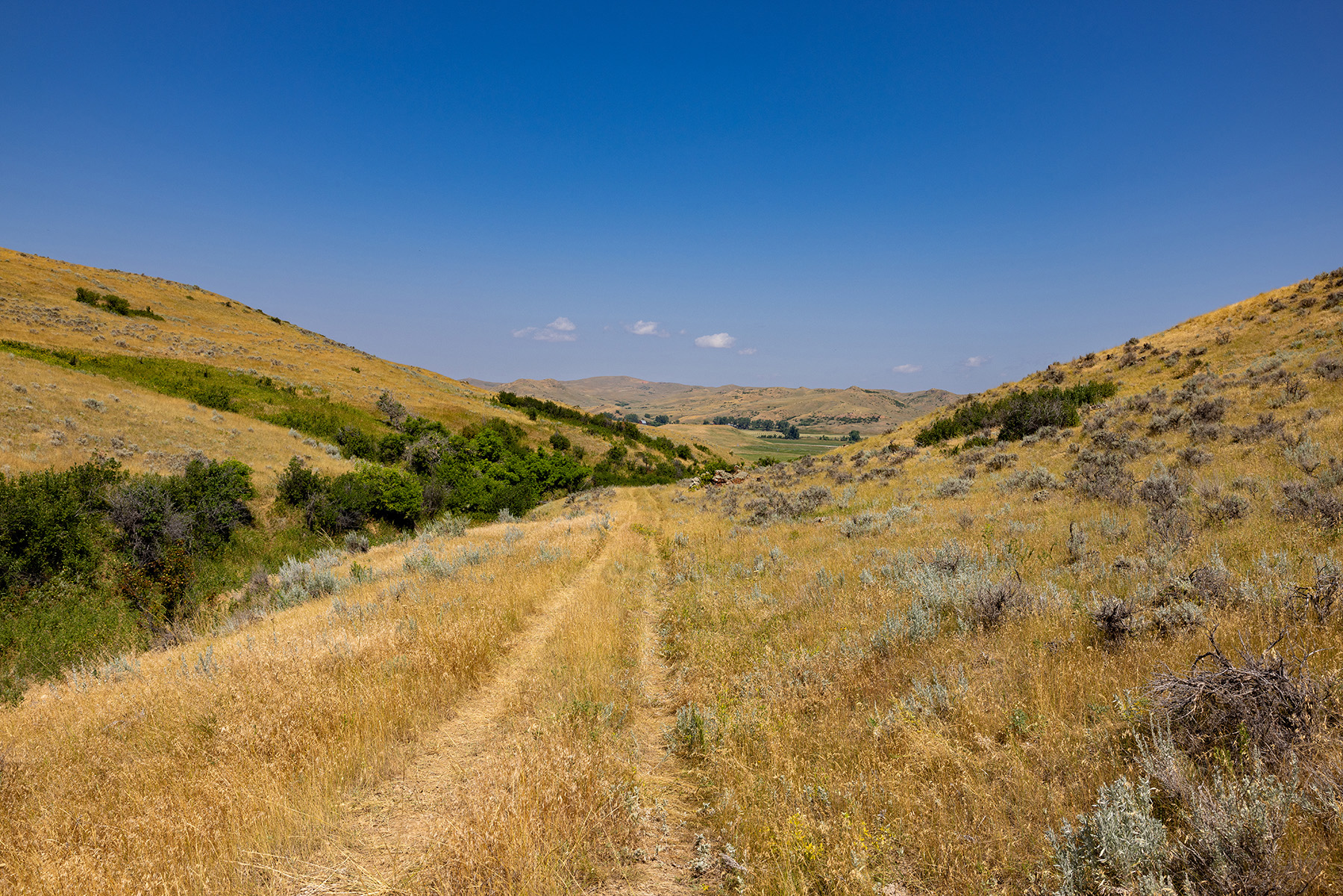 Cross F Ranch - Sold - Wyoming - Hall and Hall